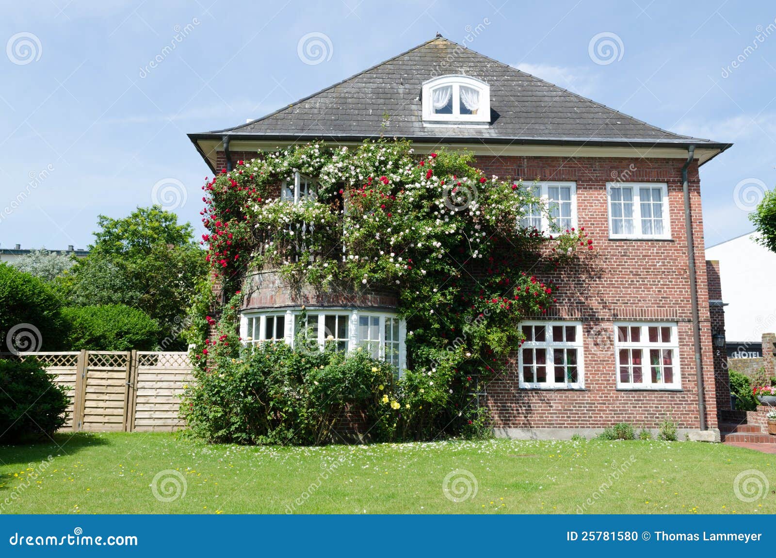 House with roses stock photo. Image of large, flower - 25781580