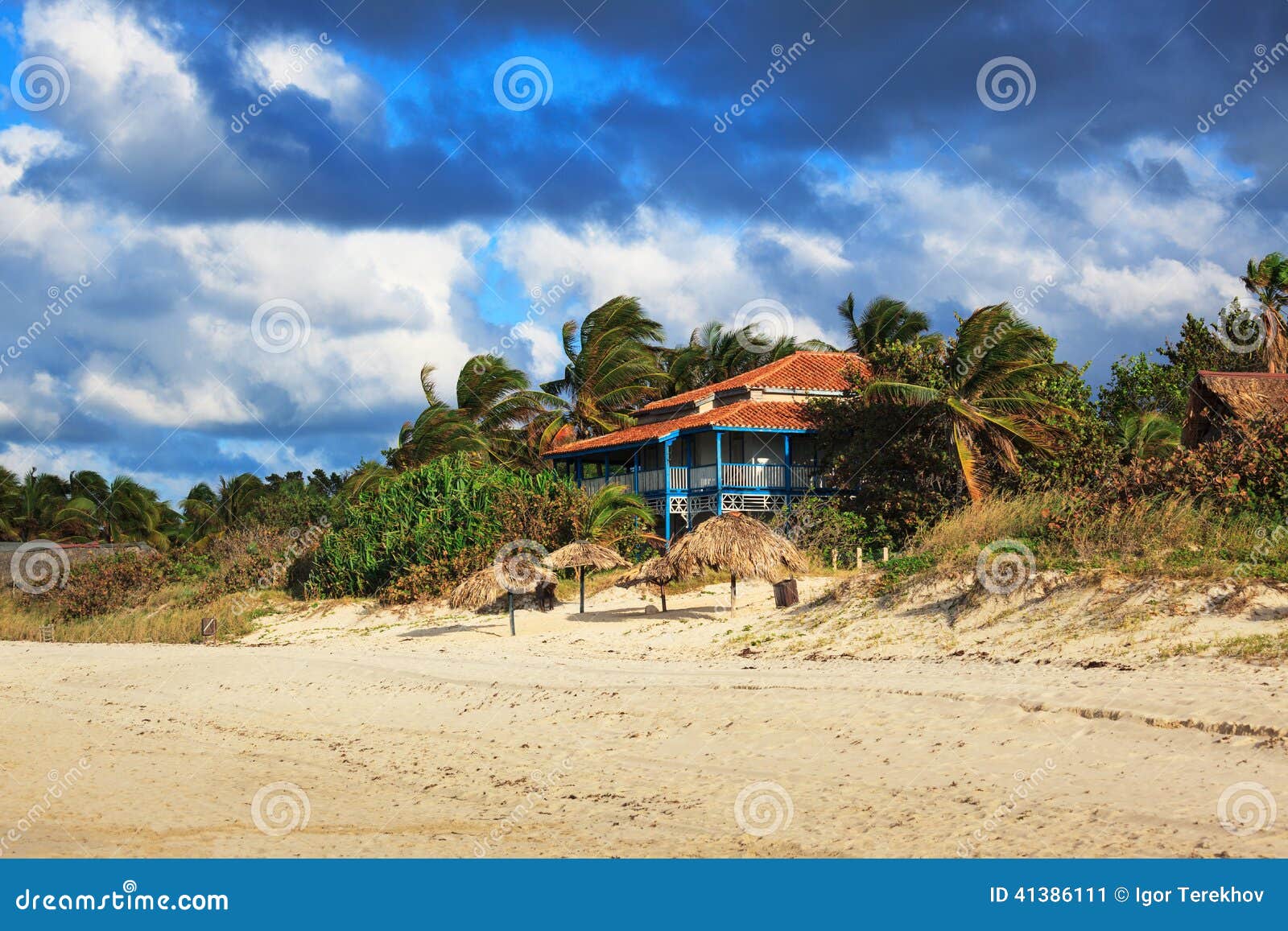 House on the sandy beach stock image. Image of palm, idyllic - 41386111