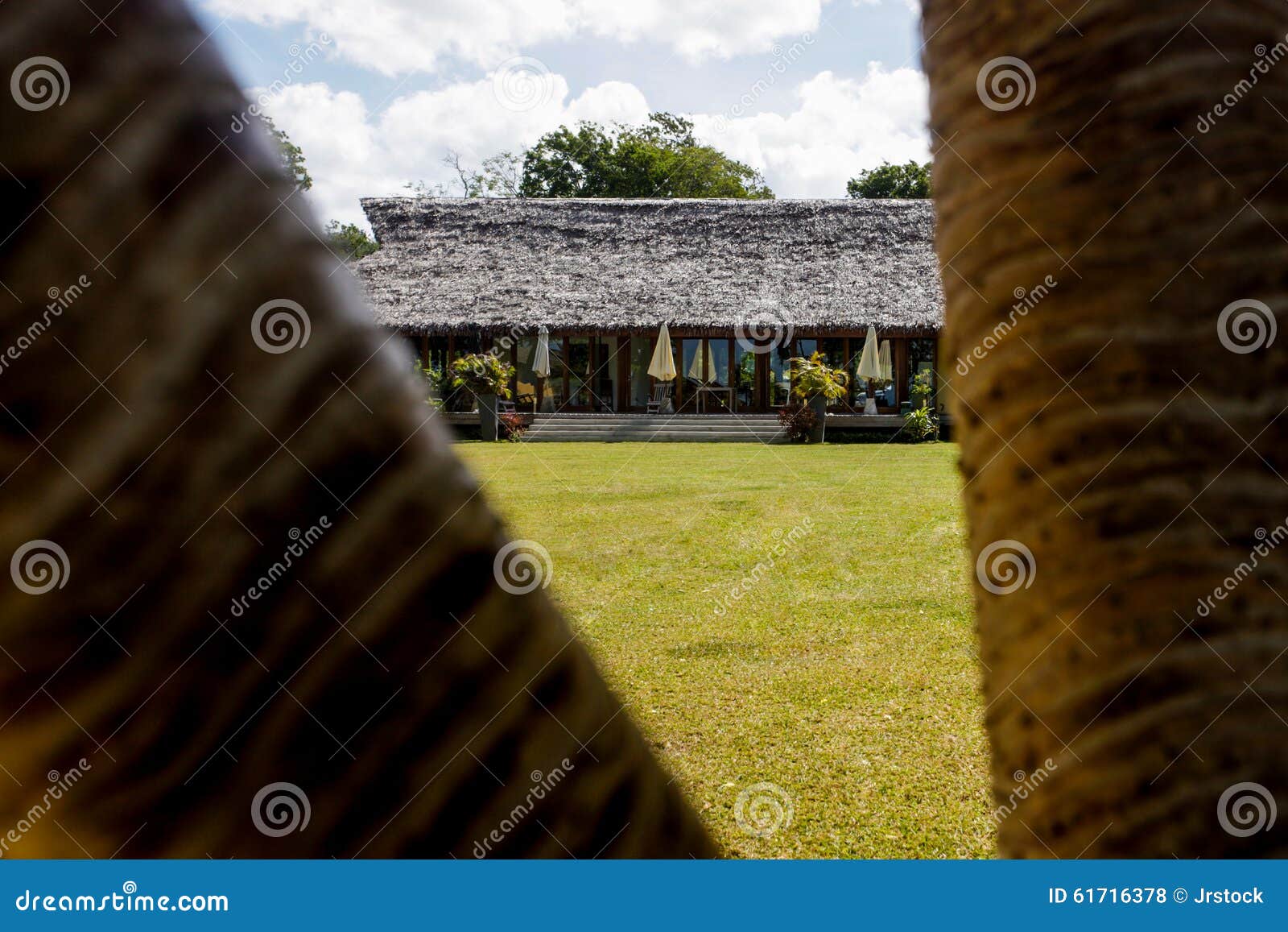 House seen in the distance stock photo. Image of grass - 61716378