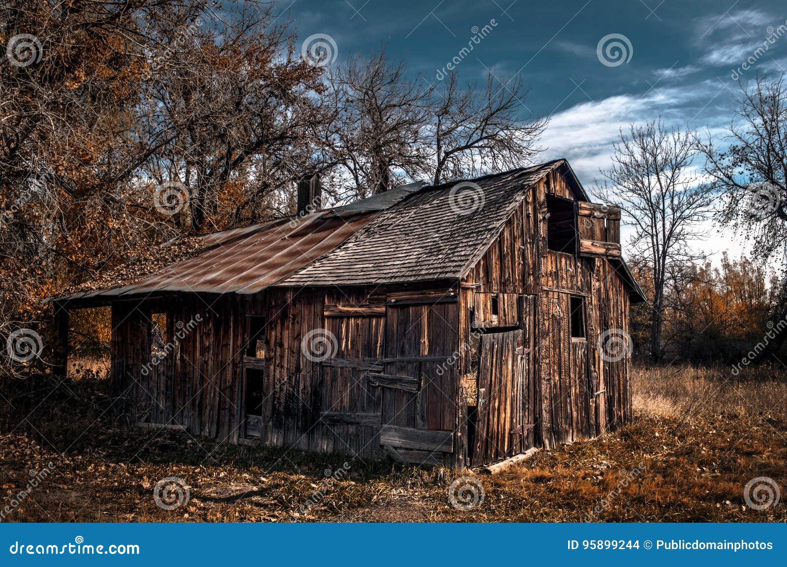 House, Shack, Log Cabin, Tree Picture. Image: 95899244
