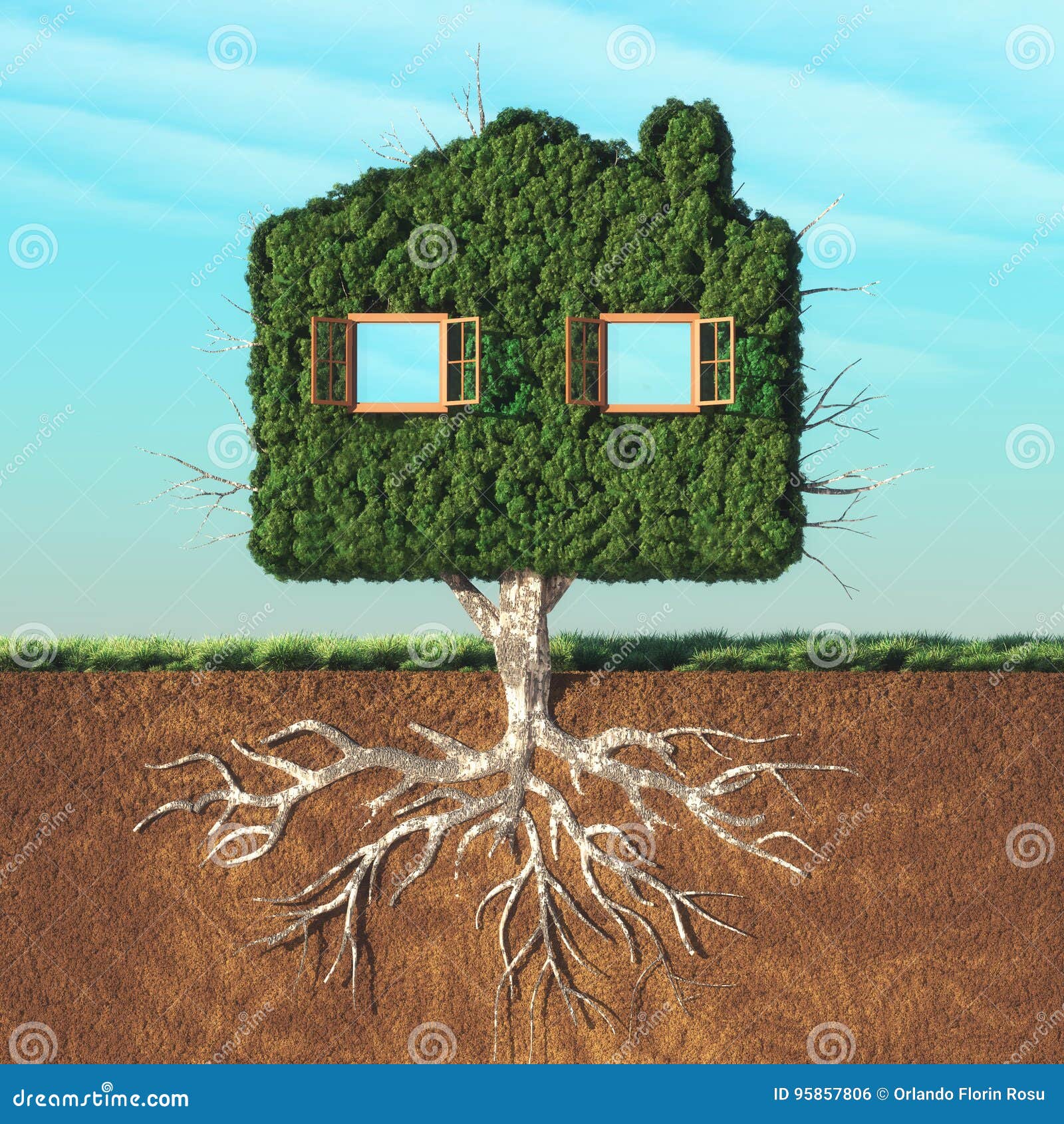 Tree Roots Underground Drawing