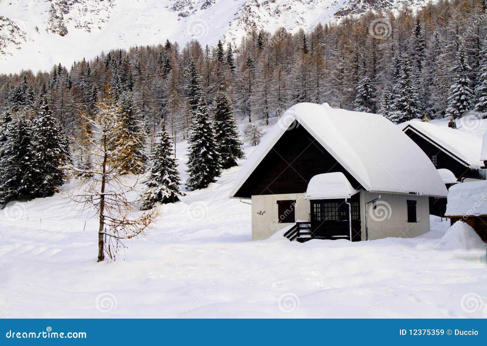 House with the snow stock image. Image of snow, landscape - 12375359