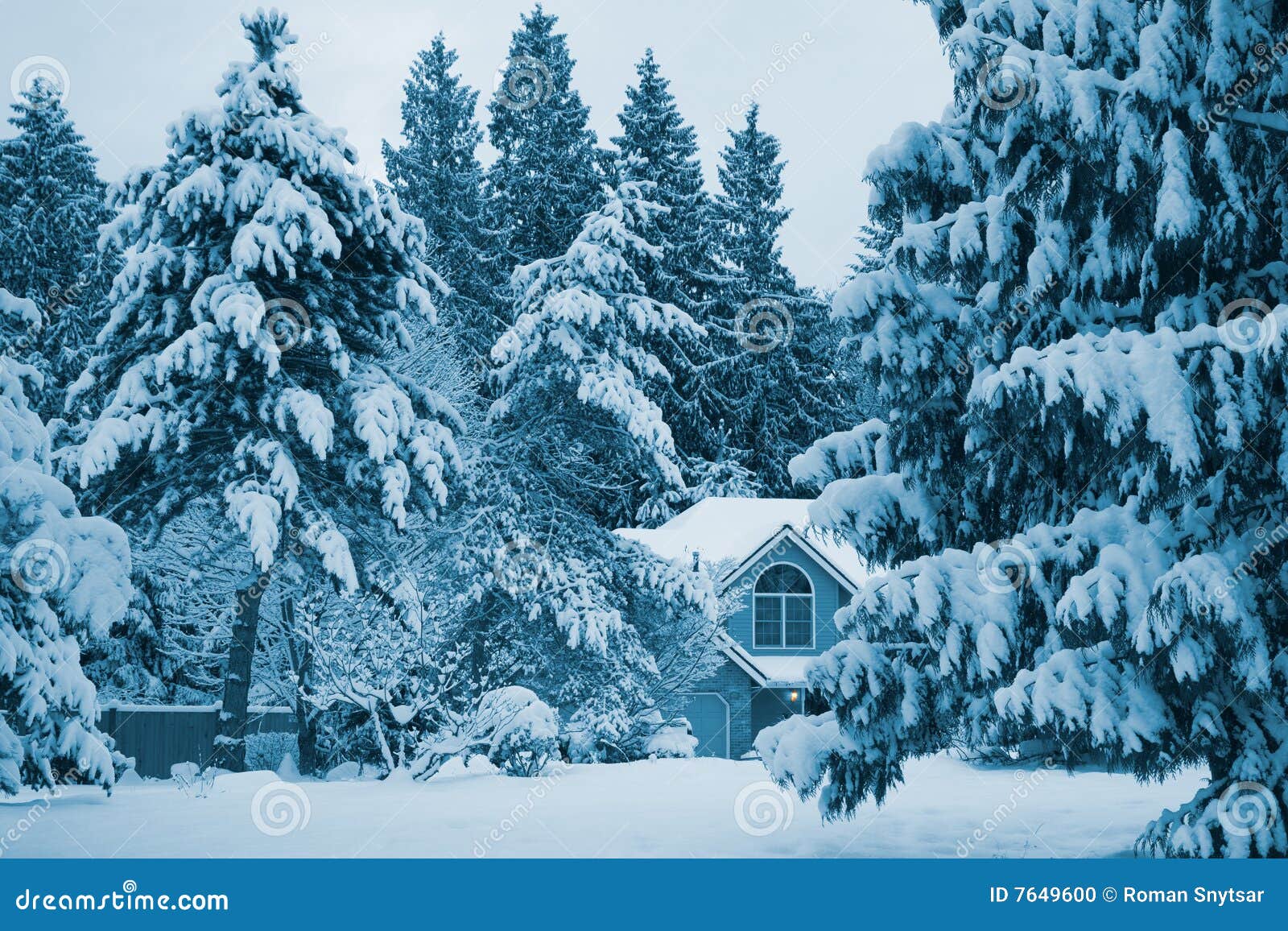 House in the snow stock photo. Image of pine, snow, window - 7649600