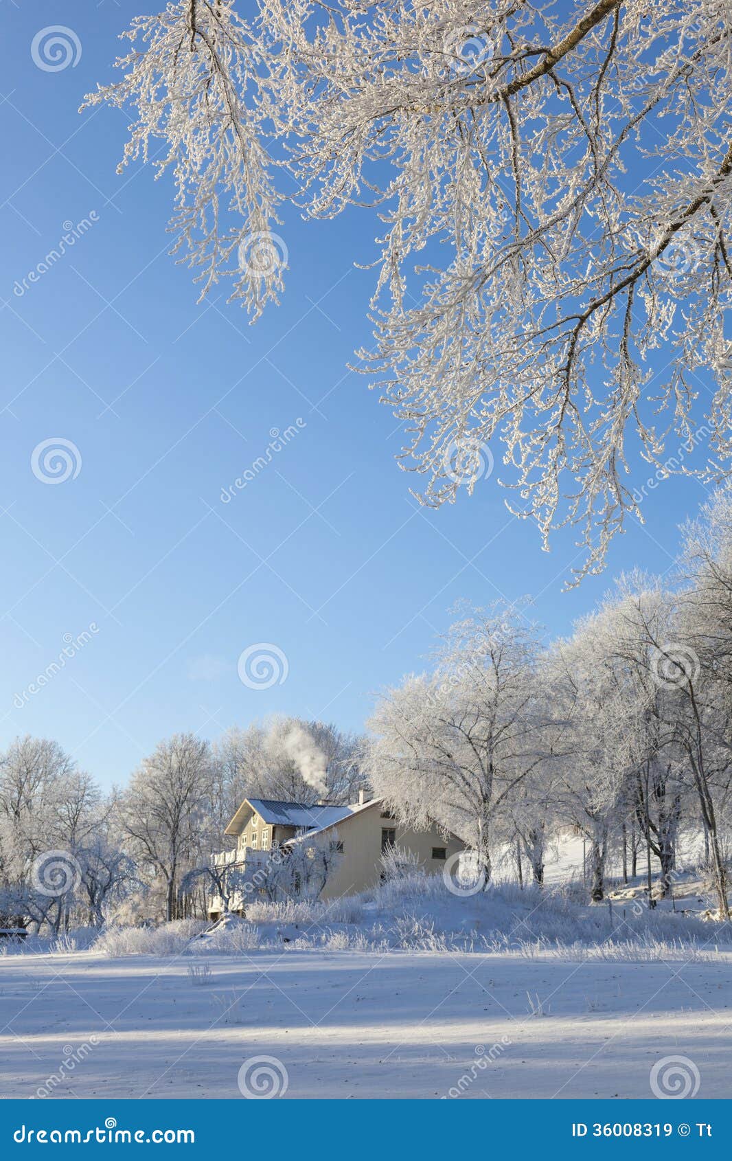 House in snowy landscape stock image. Image of building - 36008319