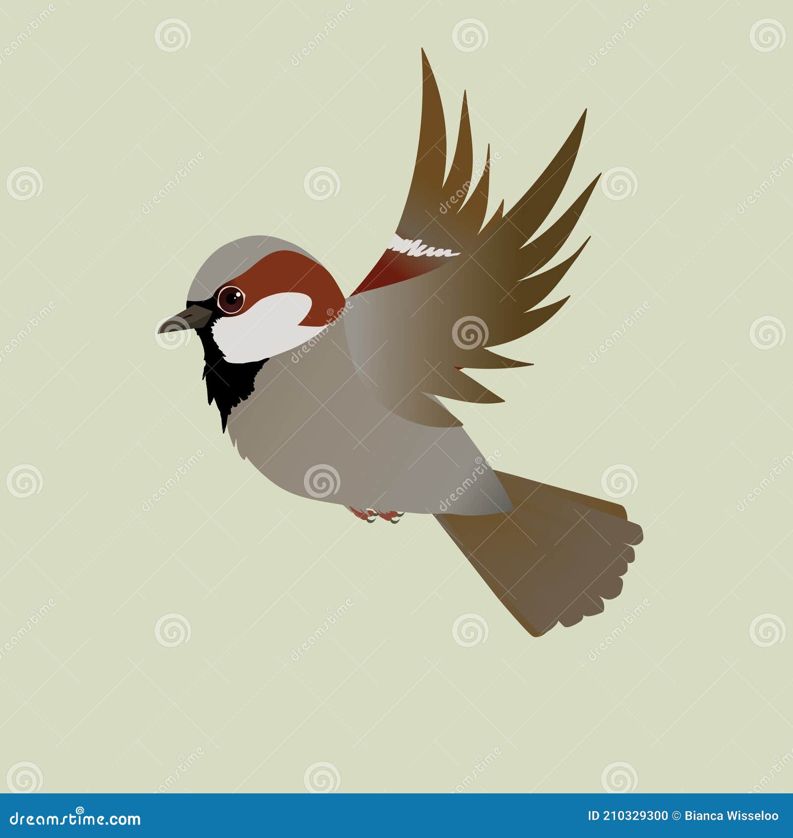 Sparrow Flying Animation Sprite Royalty-Free Stock Photography ...