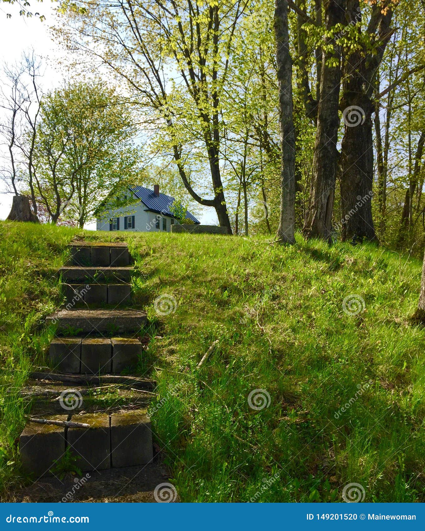 House on Steep Hill with Steps Stock Photo - Image of spring, central ...