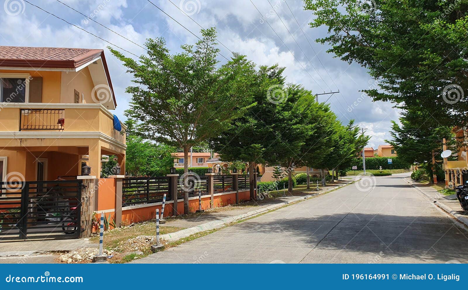 House Subdivision Road Lined Up with Trees Stock Image - Image of town ...