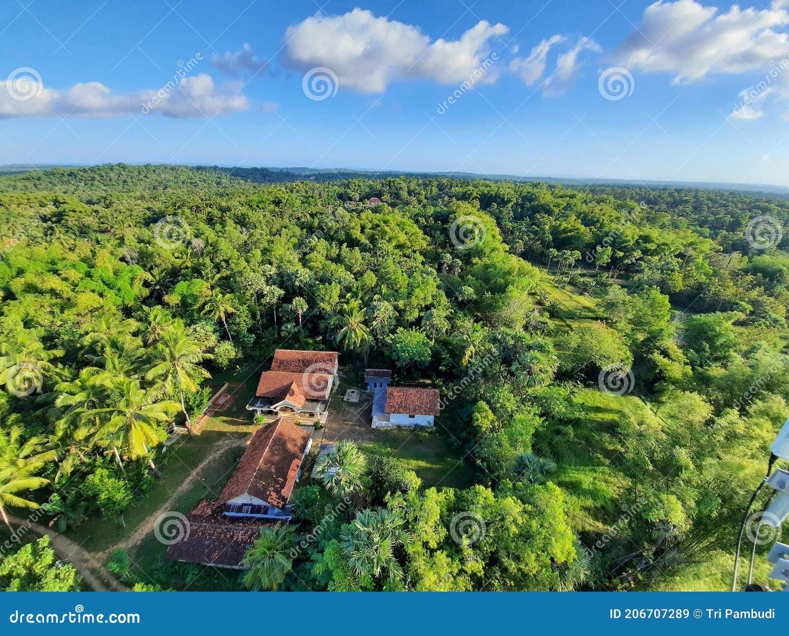 A House Surrounded by Trees Stock Image - Image of plant, soil: 206707289