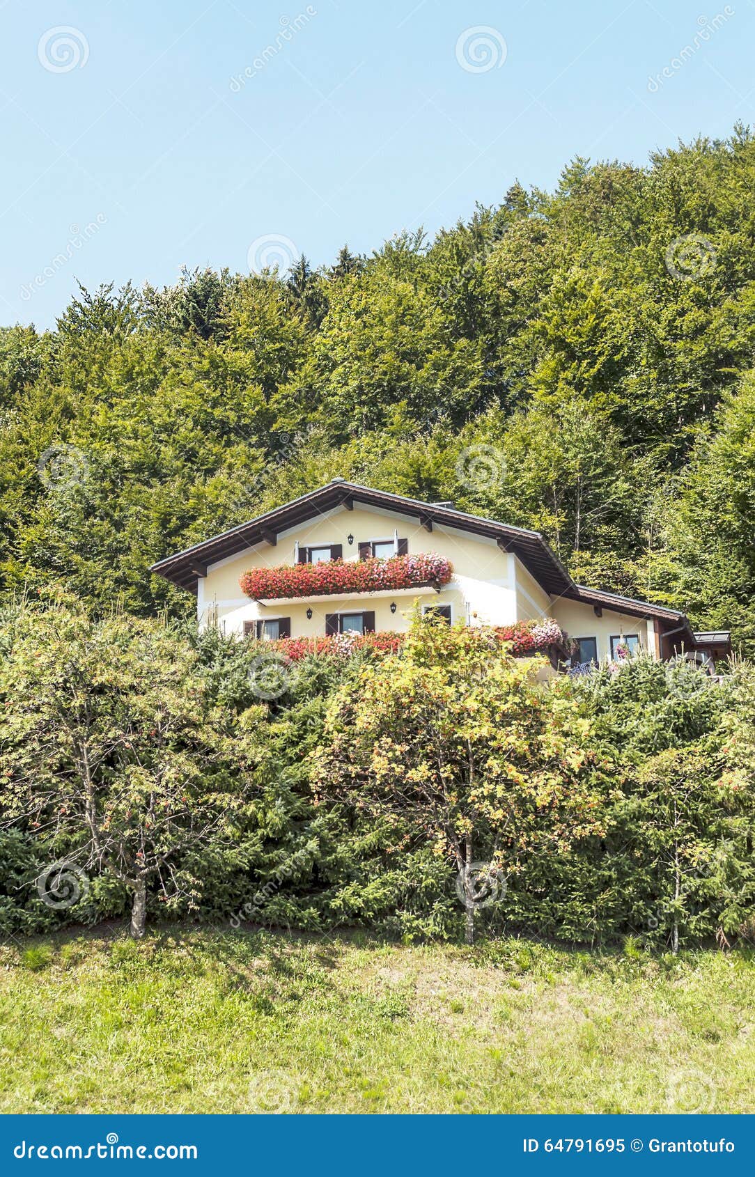 House surrounded by trees stock image. Image of countryside - 64791695