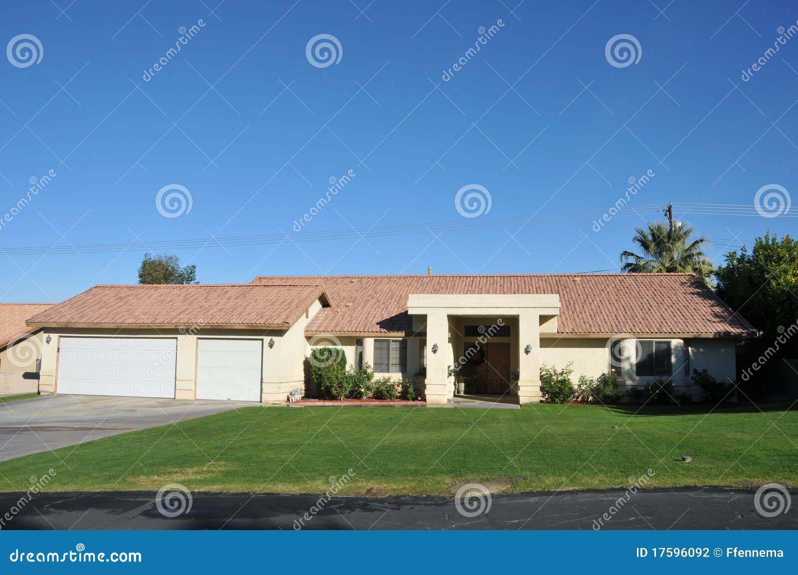 House Surrounded by Trees and Grass Stock Photo - Image of upper ...