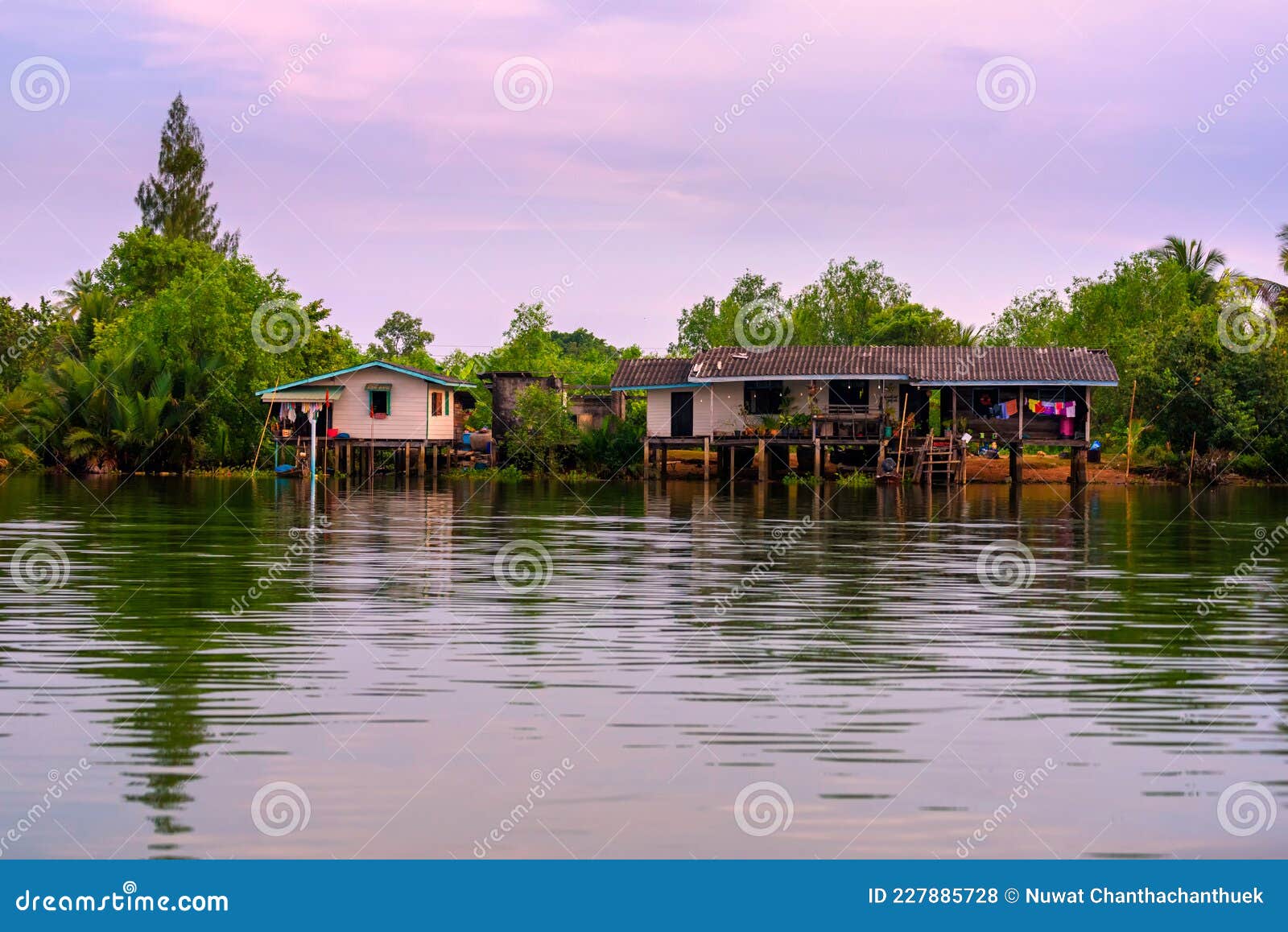 House on the Tapi River Countryside at Surat Thani, Thailand Stock ...