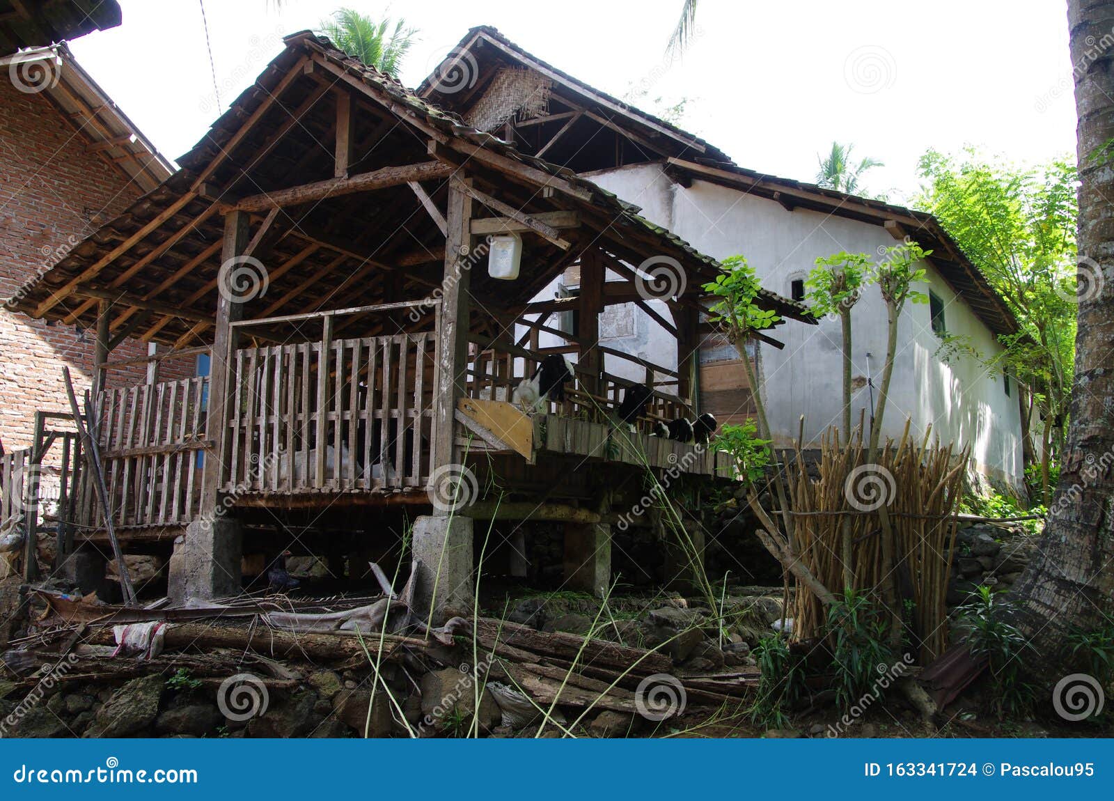 Village on the Java Island in Indonesia Stock Photo - Image of ...