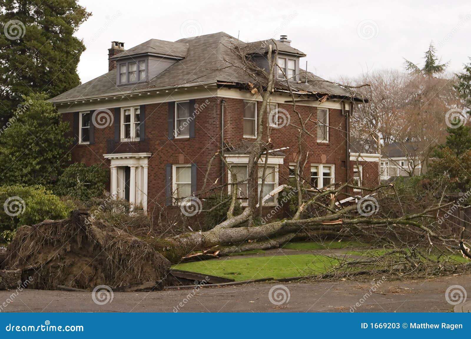 House with Tree Damage editorial stock photo. Image of dutch - 1669203