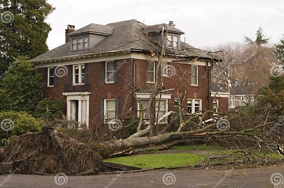 House with Tree Damage editorial stock photo. Image of dutch - 1669203