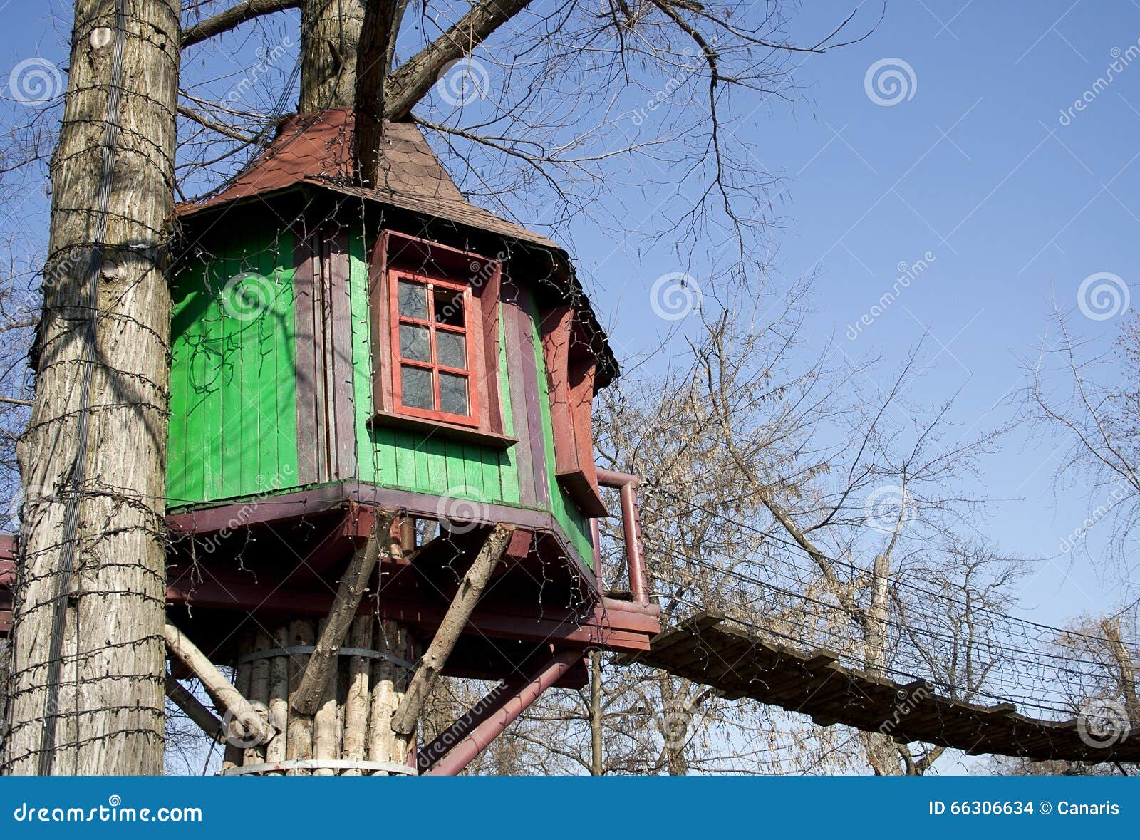 House in the tree stock photo. Image of tree, built, nature - 66306634