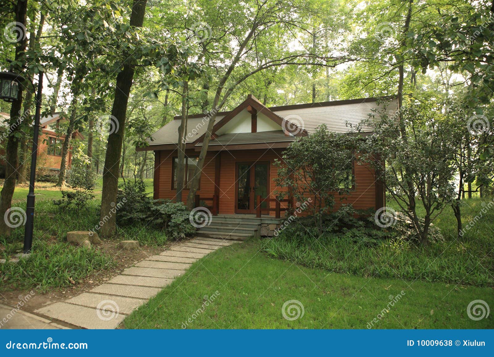 House and trees stock photo. Image of forest, tree, popular - 10009638