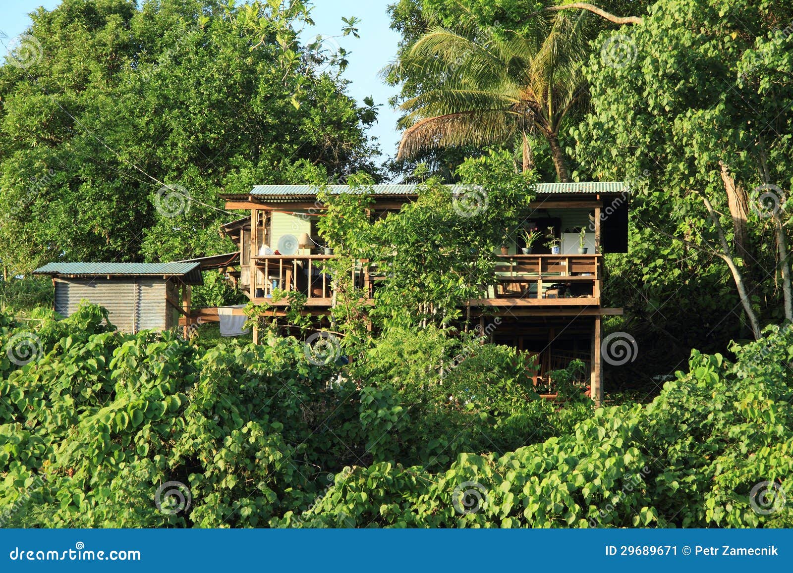 House in trees stock image. Image of trees, hide, babeldaob - 29689671