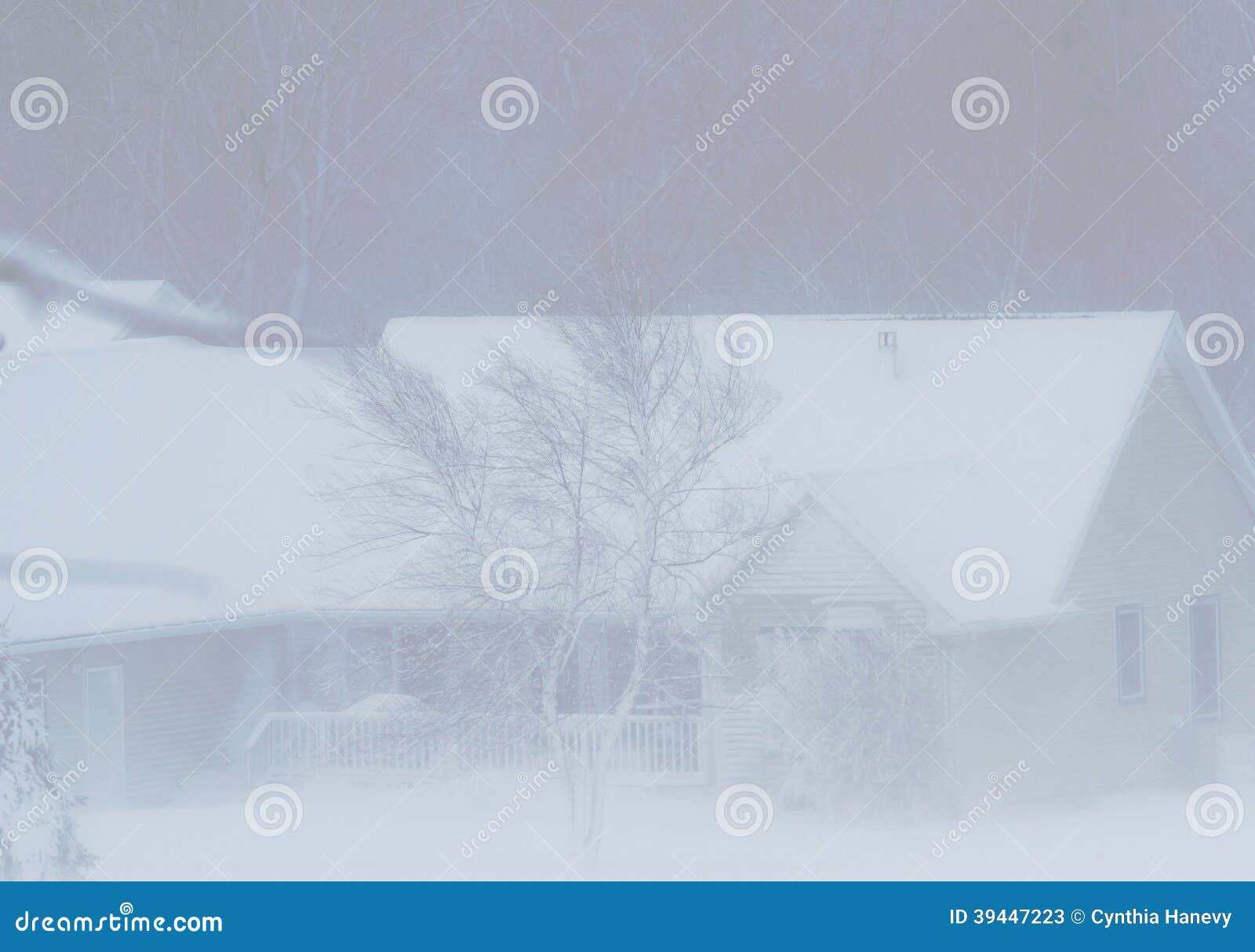 House and Trees during Blizzard Stock Image - Image of residence, trees ...