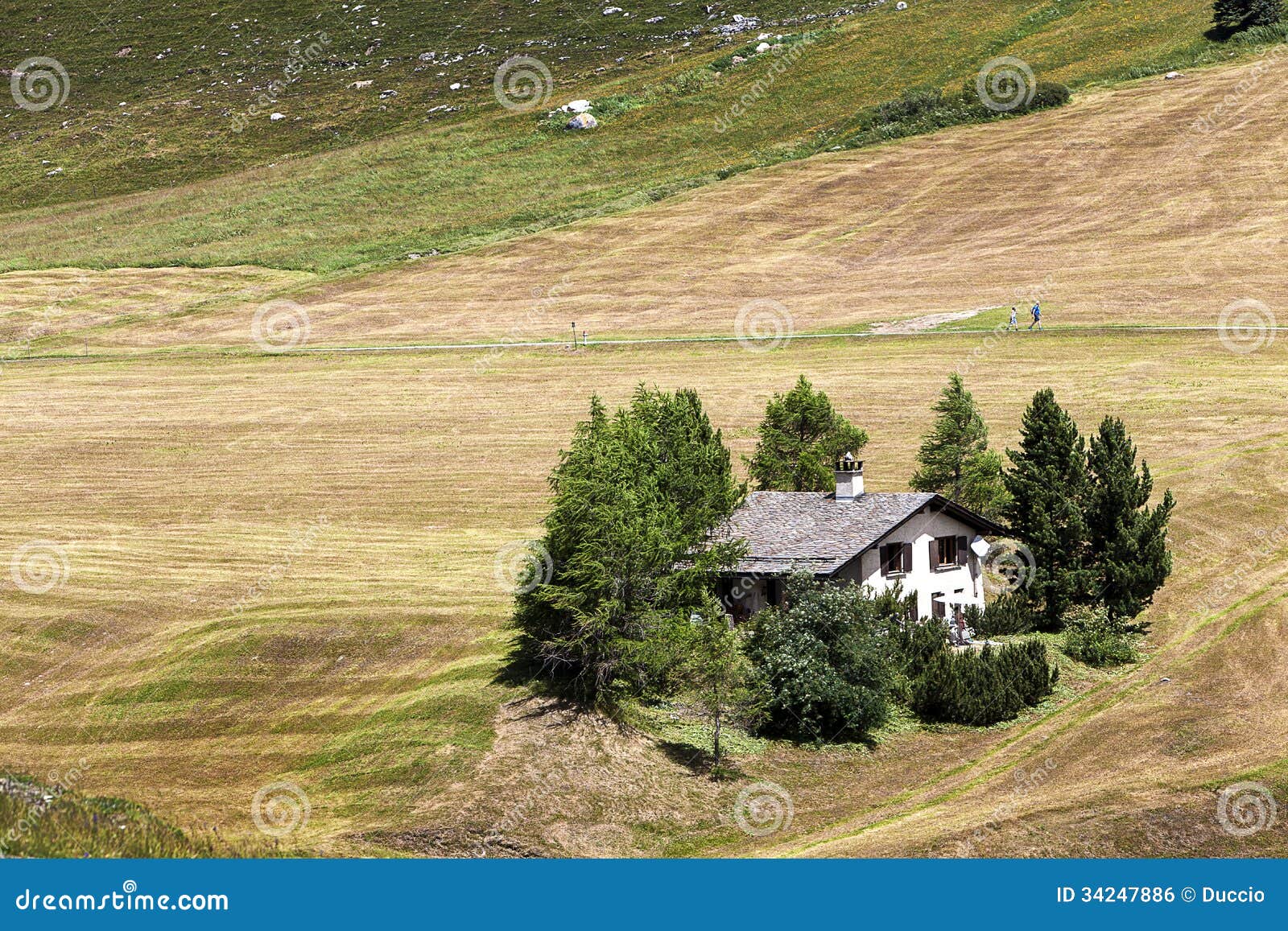 House among the trees stock photo. Image of architecture - 34247886