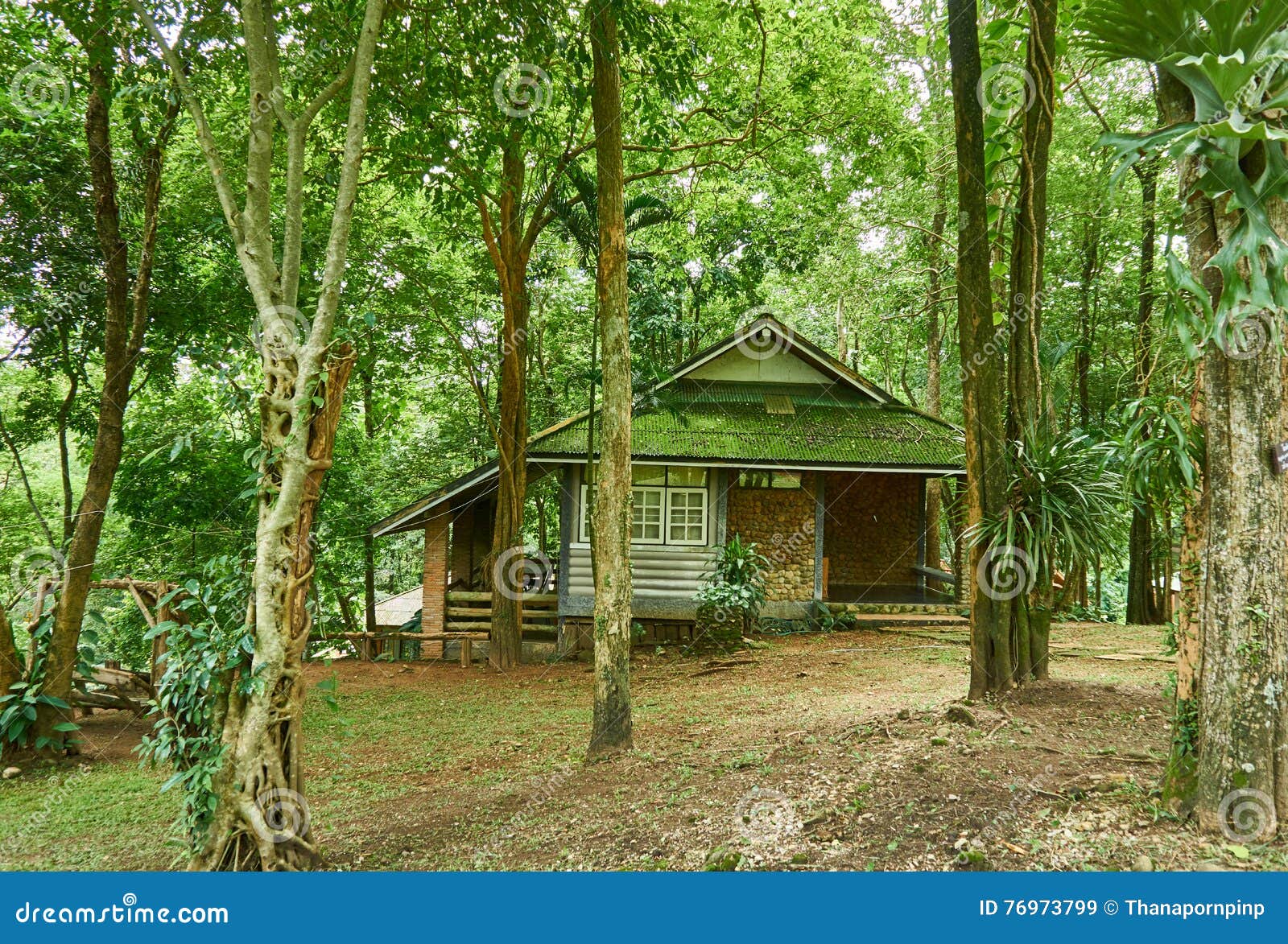 House in the Tropical Rain Forest Stock Image - Image of forest, garden ...