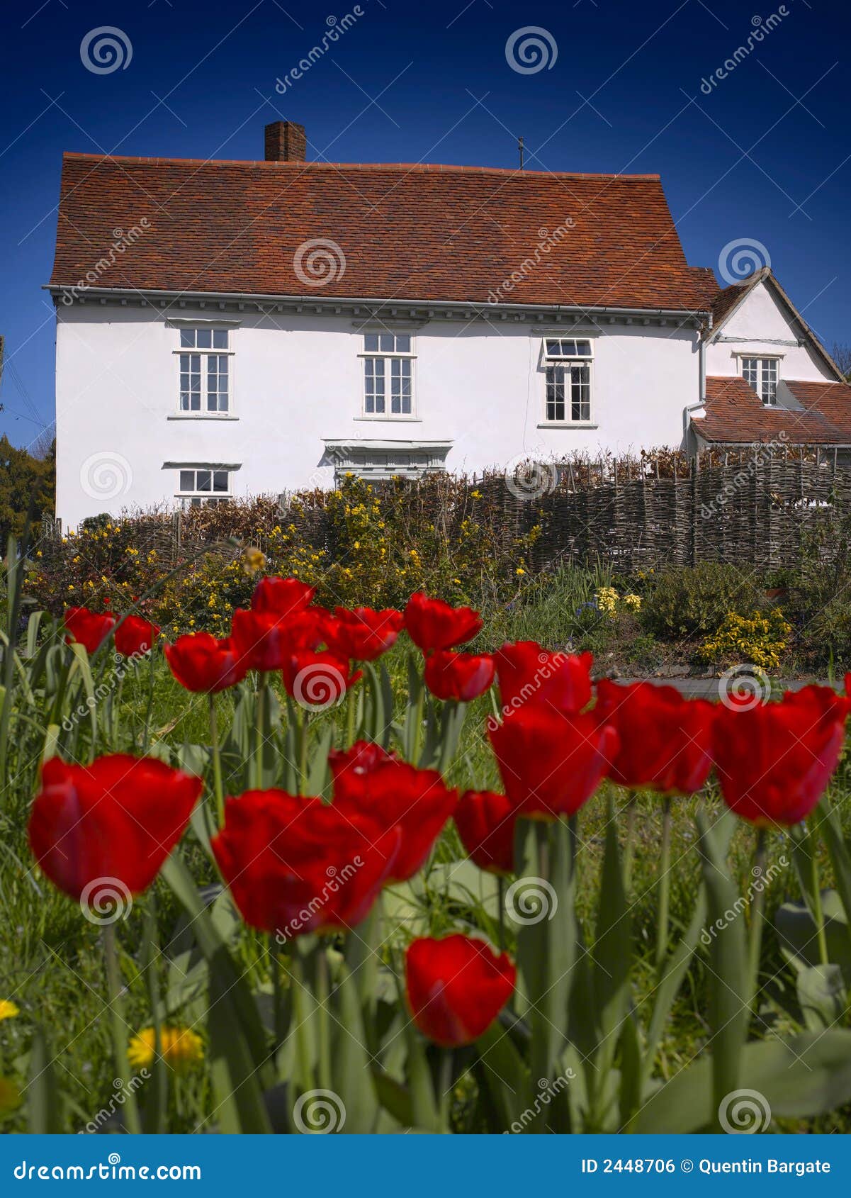 House and Tulips stock photo. Image of rural, residence - 2448706