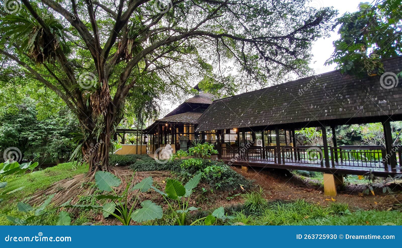 House under the tree stock photo. Image of cottage, estate - 263725930