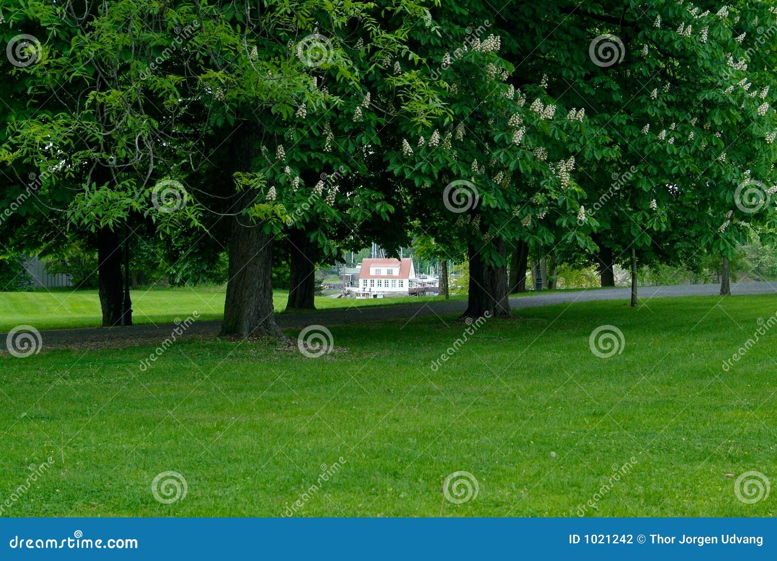 House under the trees stock photo. Image of park, grass - 1021242