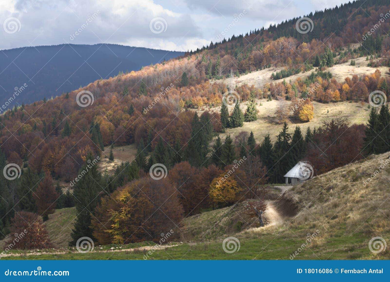 House in the valley stock photo. Image of green, slope - 18016086