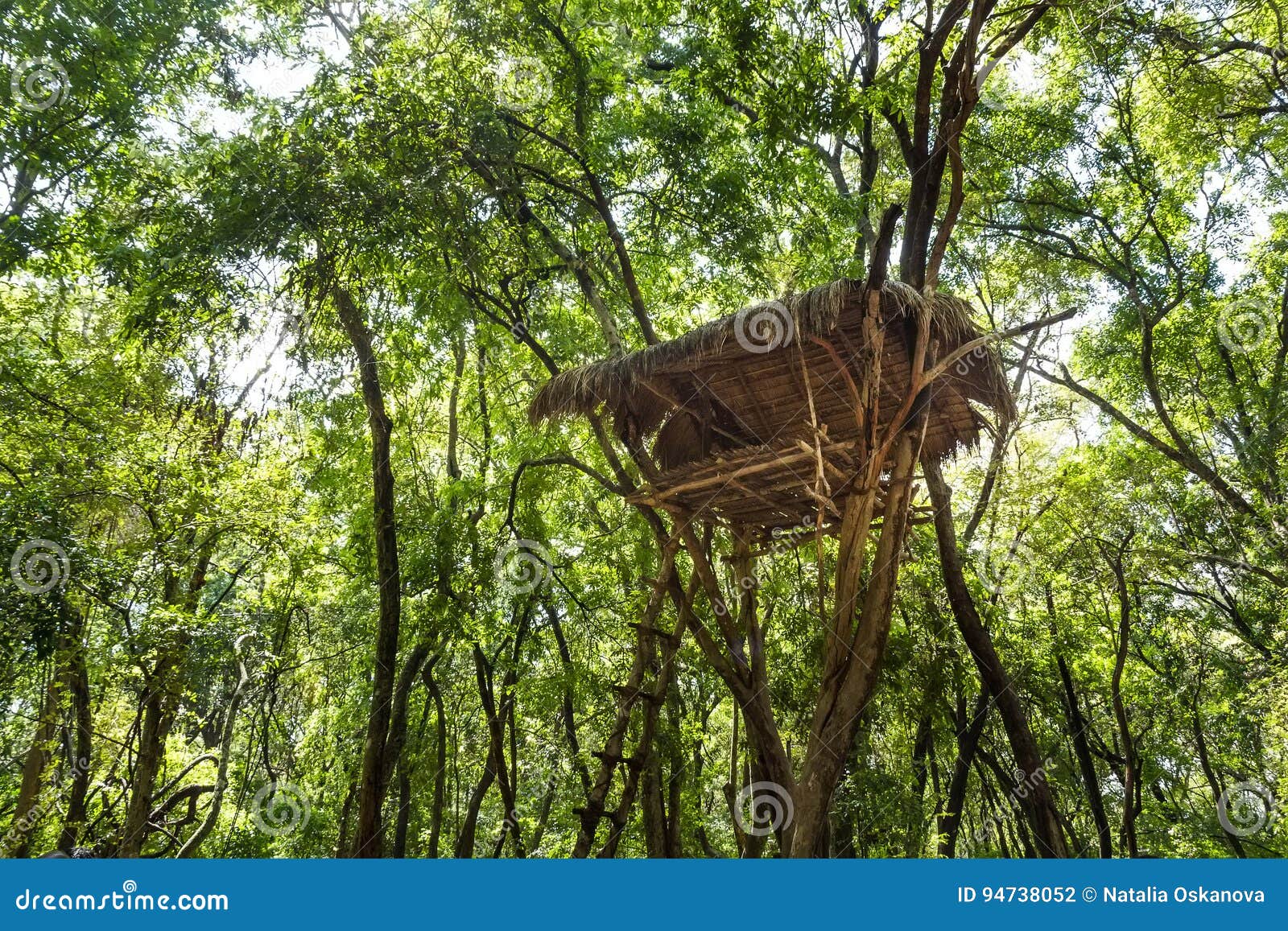 House of vedda people stock photo. Image of indigenous - 94738052