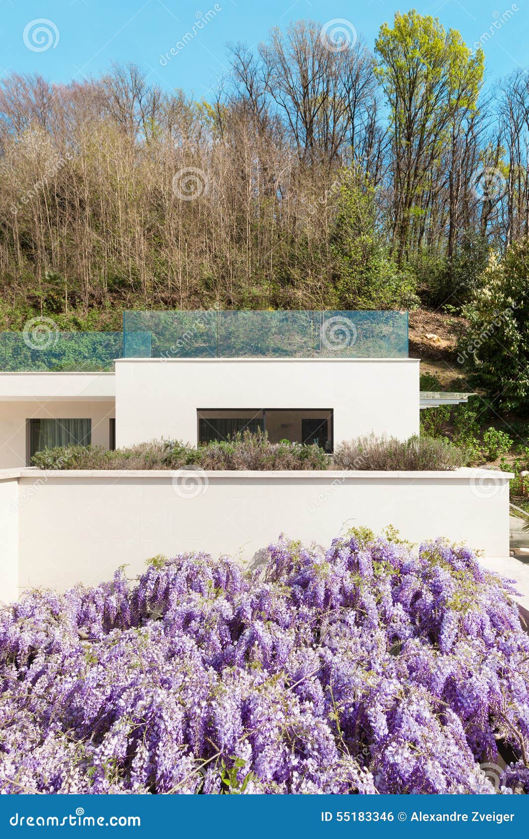 House, Veranda with Wisteria, Top View Stock Photo - Image of outdoor ...