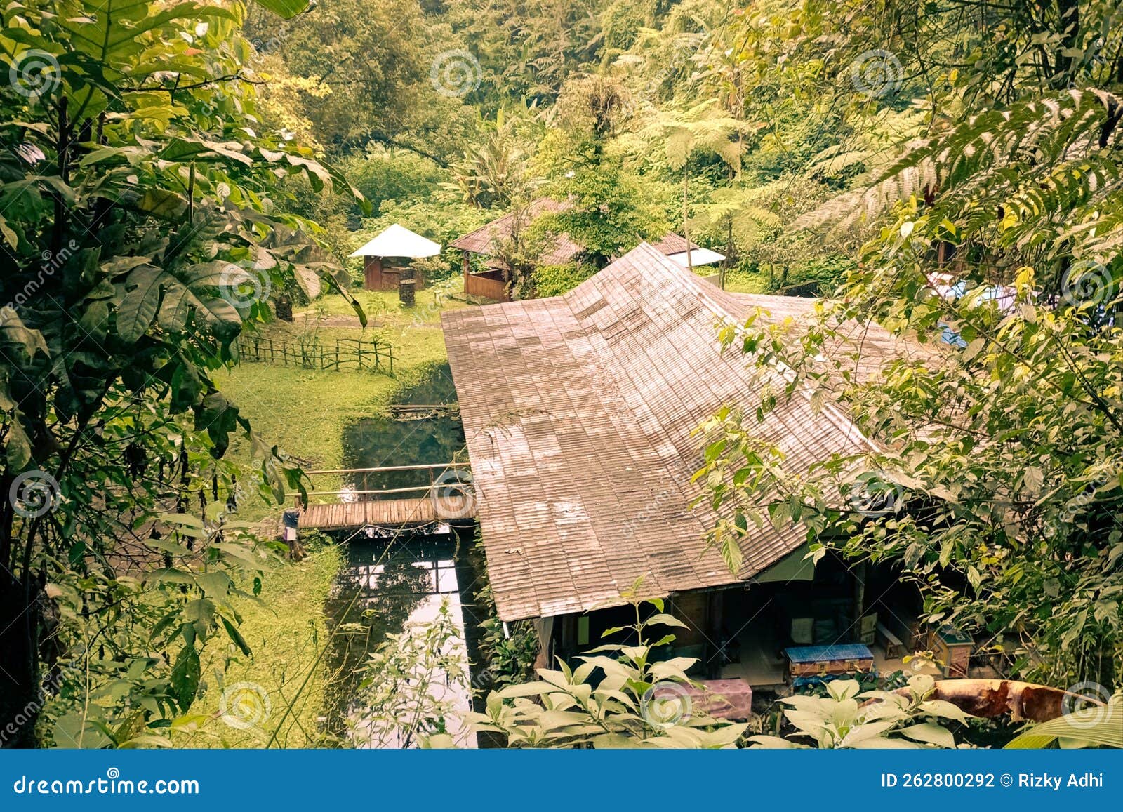 A House with Views of the Surrounding Forest Stock Photo - Image of ...