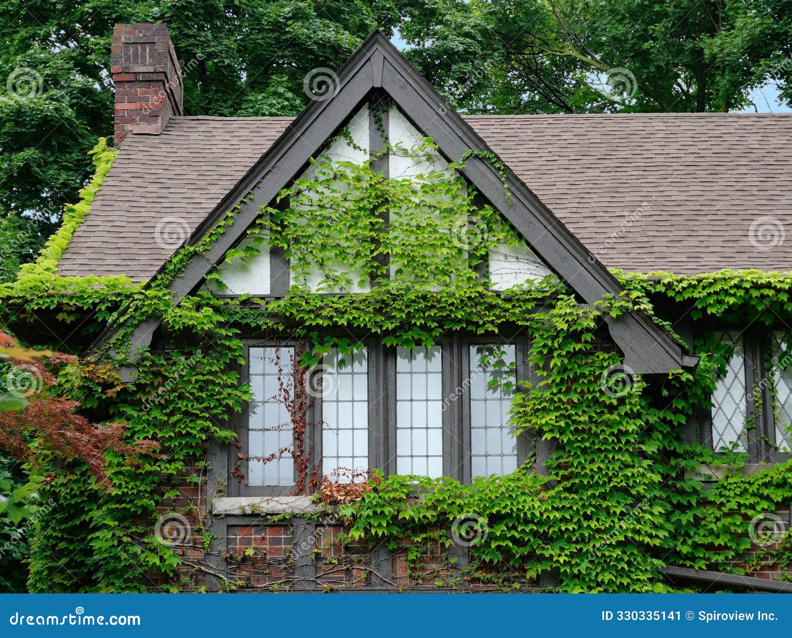 House with Vine Covered Gable Stock Image - Image of front, style ...