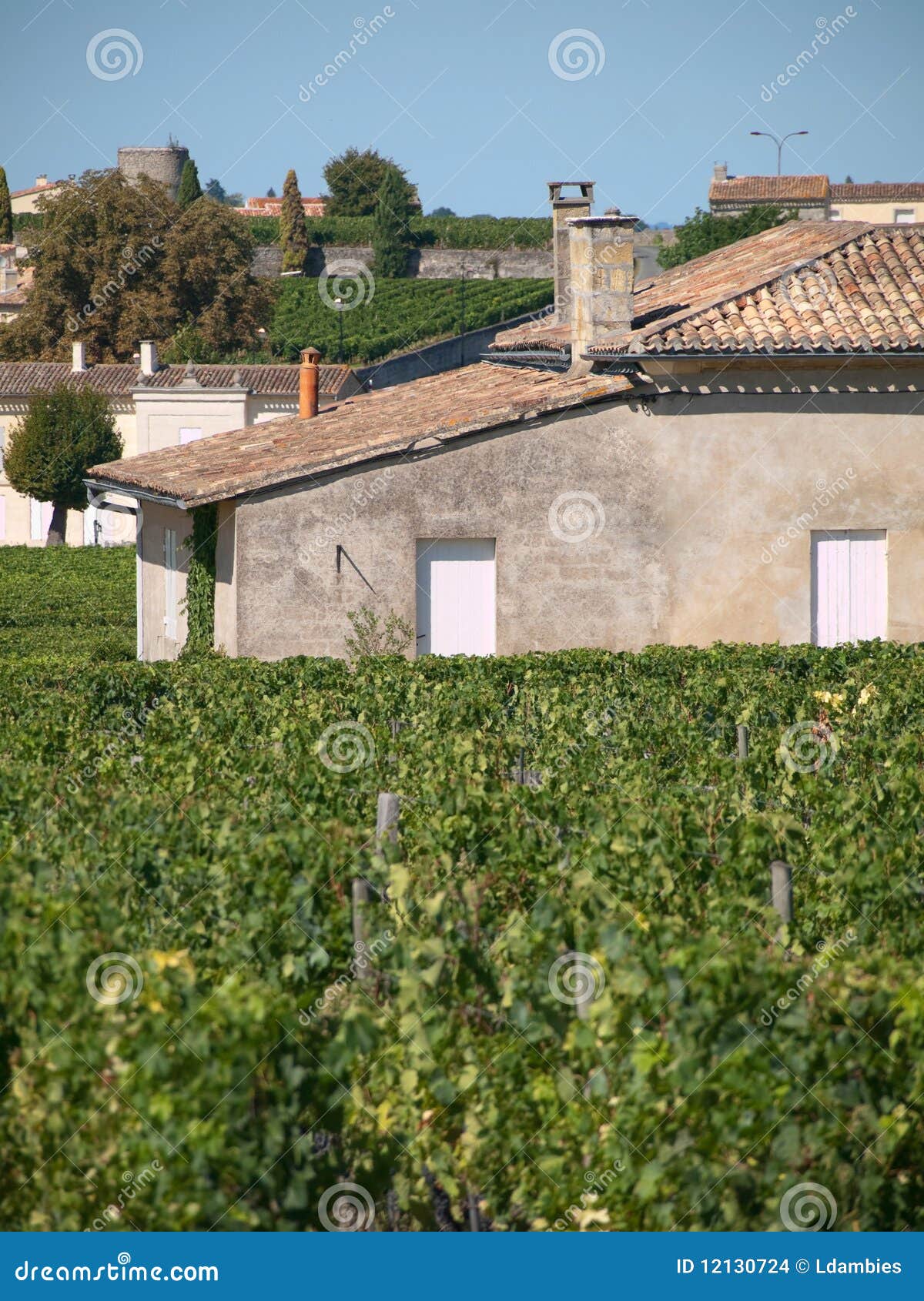 House in vineyards stock photo. Image of grapevines, outdoors - 12130724