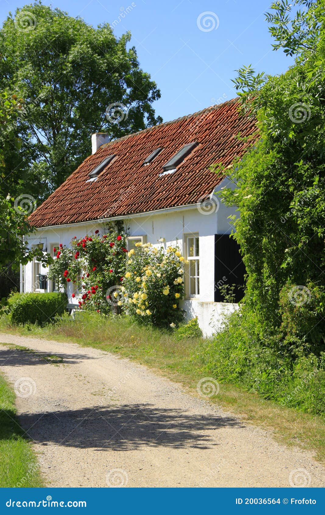 House and way stock photo. Image of lane, frontage, leaf - 20036564