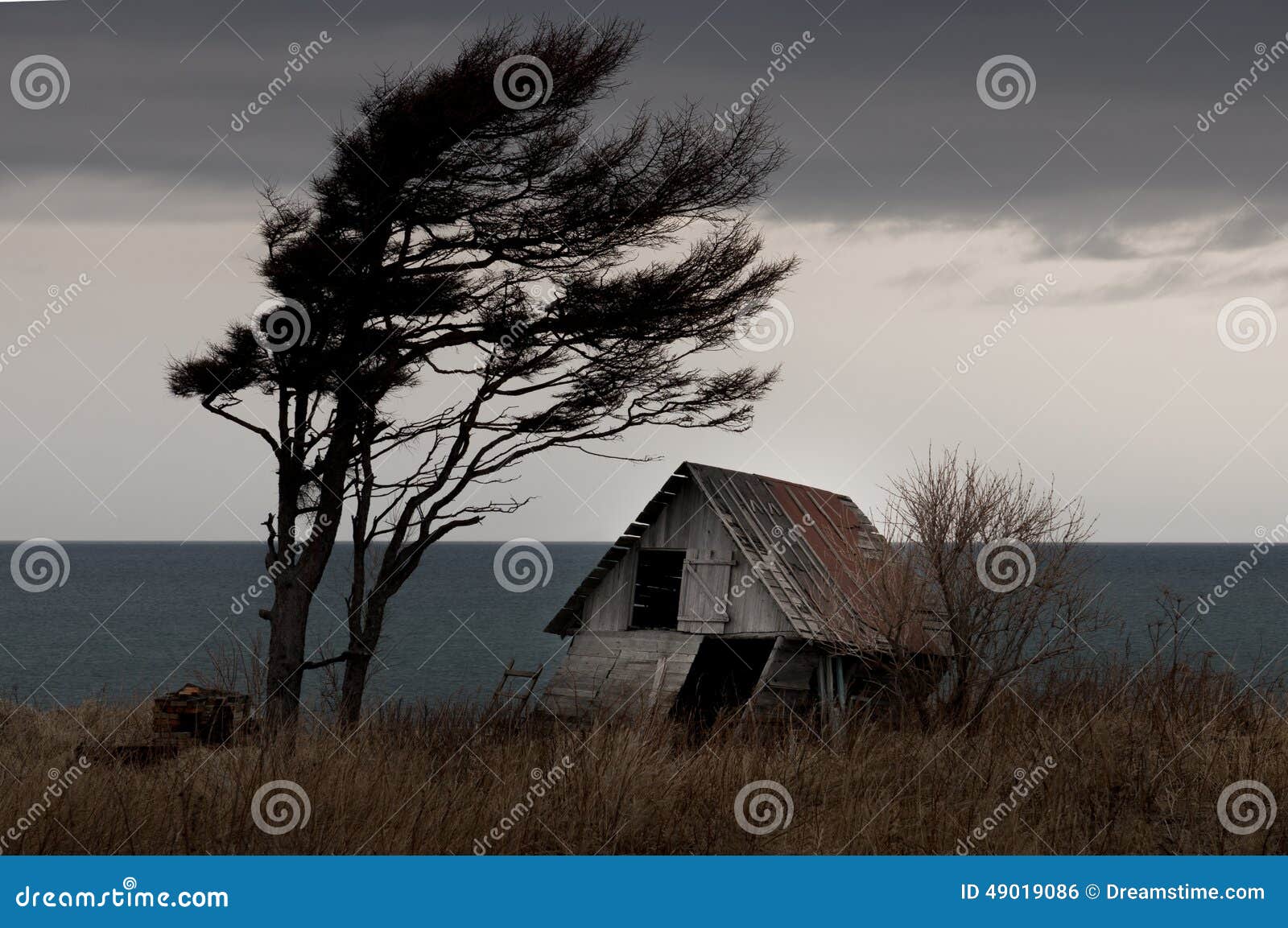 House of wind stock photo. Image of tree, nature, autumn - 49019086