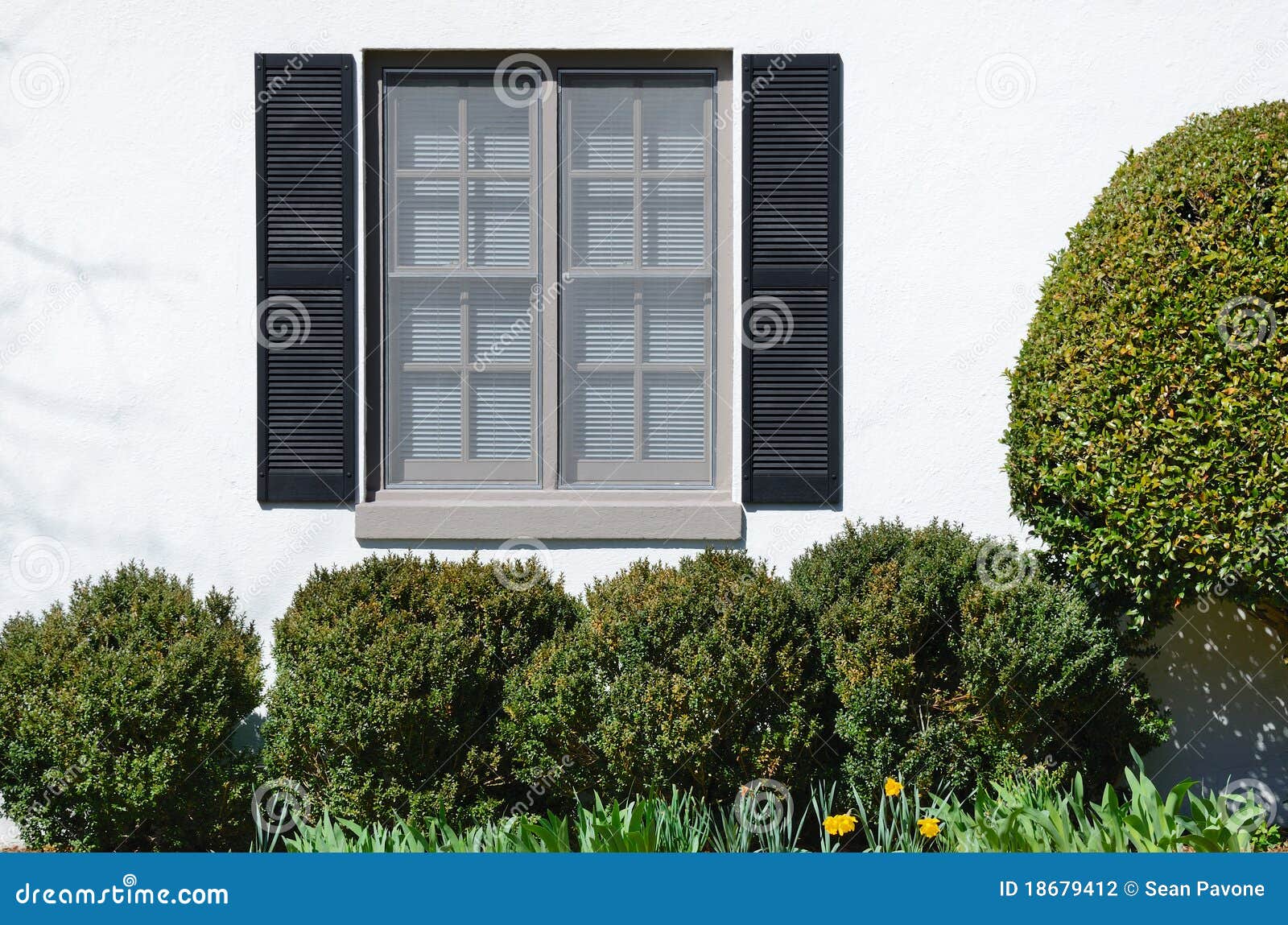 House Window stock photo. Image of wall, lawn, background - 18679412