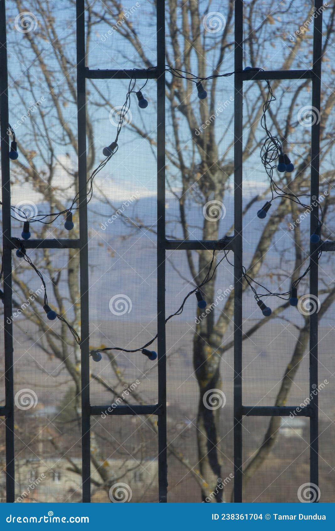 House Window and Tree in Outdoor Stock Photo - Image of sunlight, plant ...