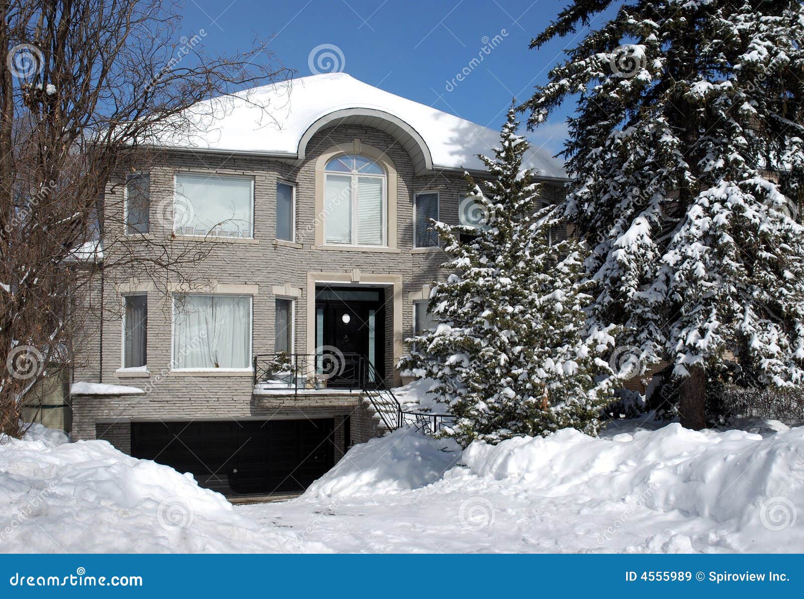 House in Winter with Pine Trees Stock Image - Image of tree, suburban ...