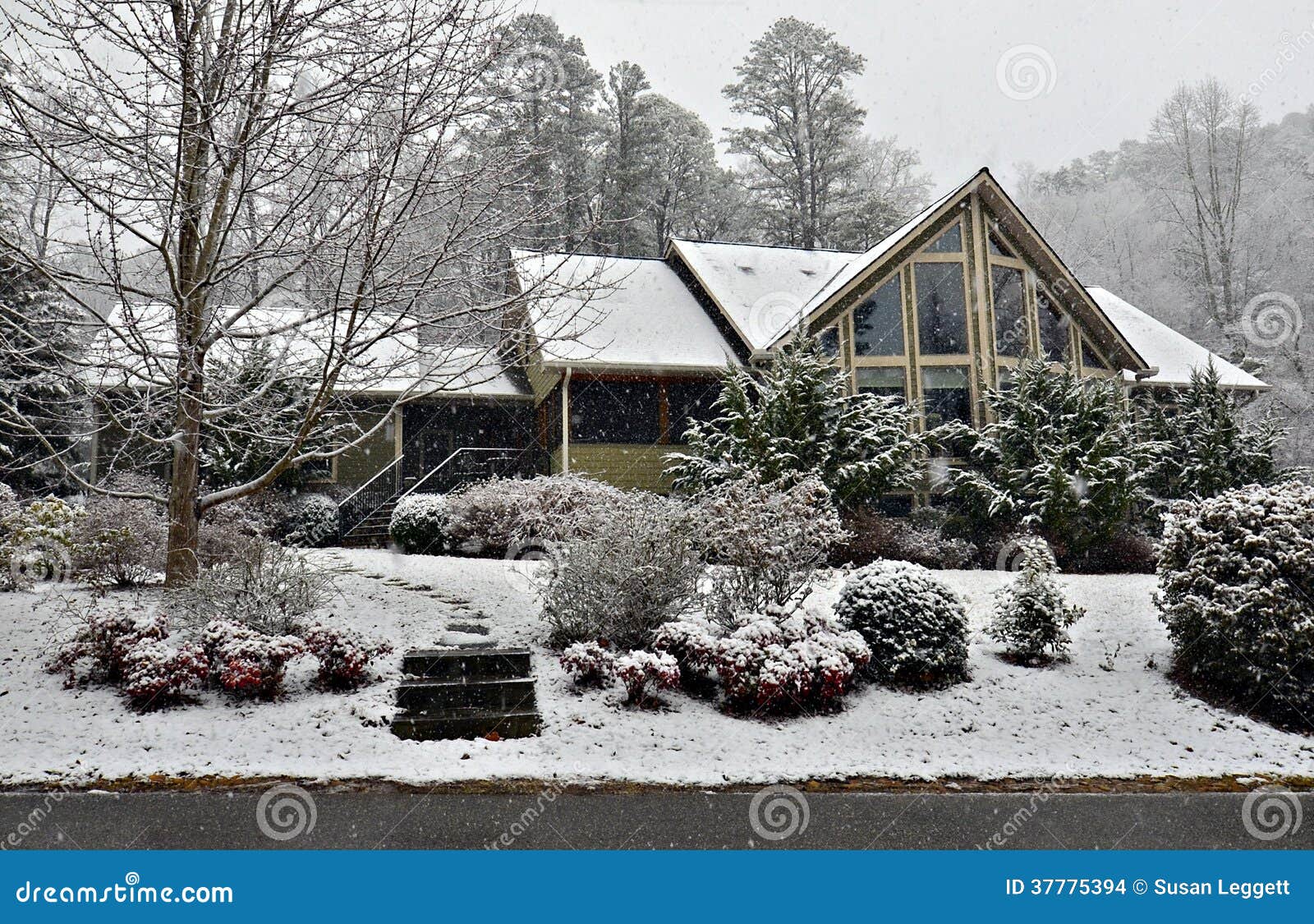 Snow Falling On House