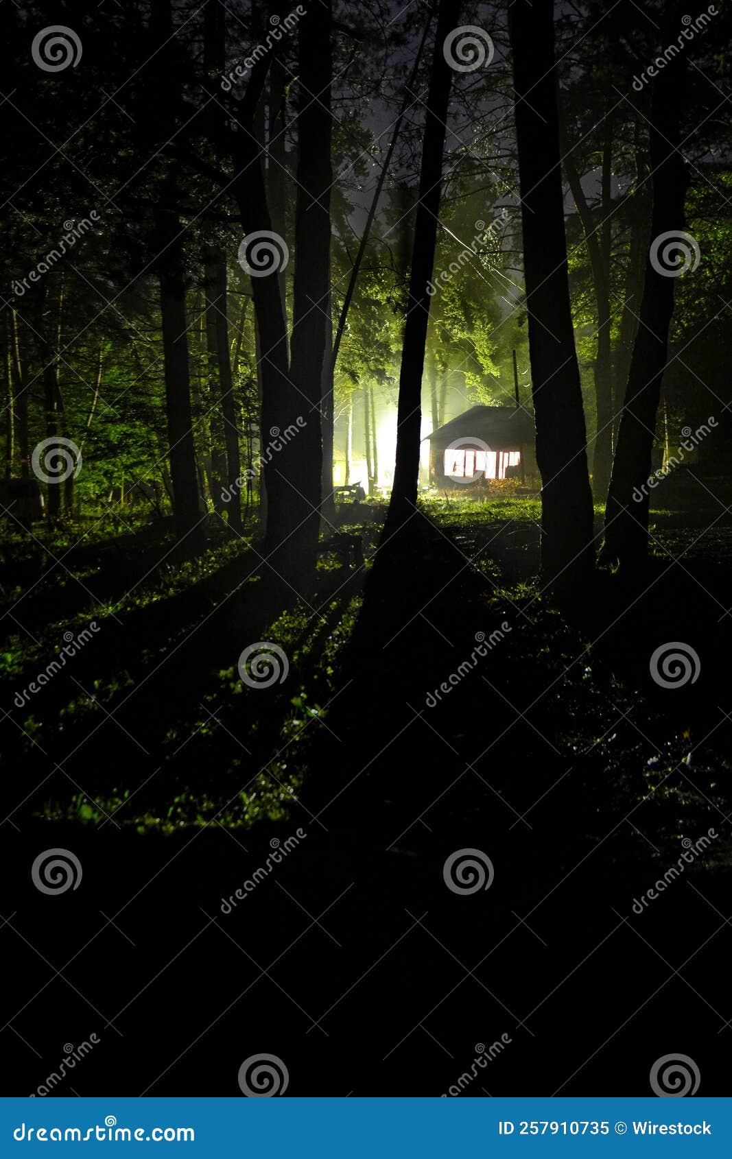 Mystic Forest House at Night Stock Image - Image of armenia, mystic ...