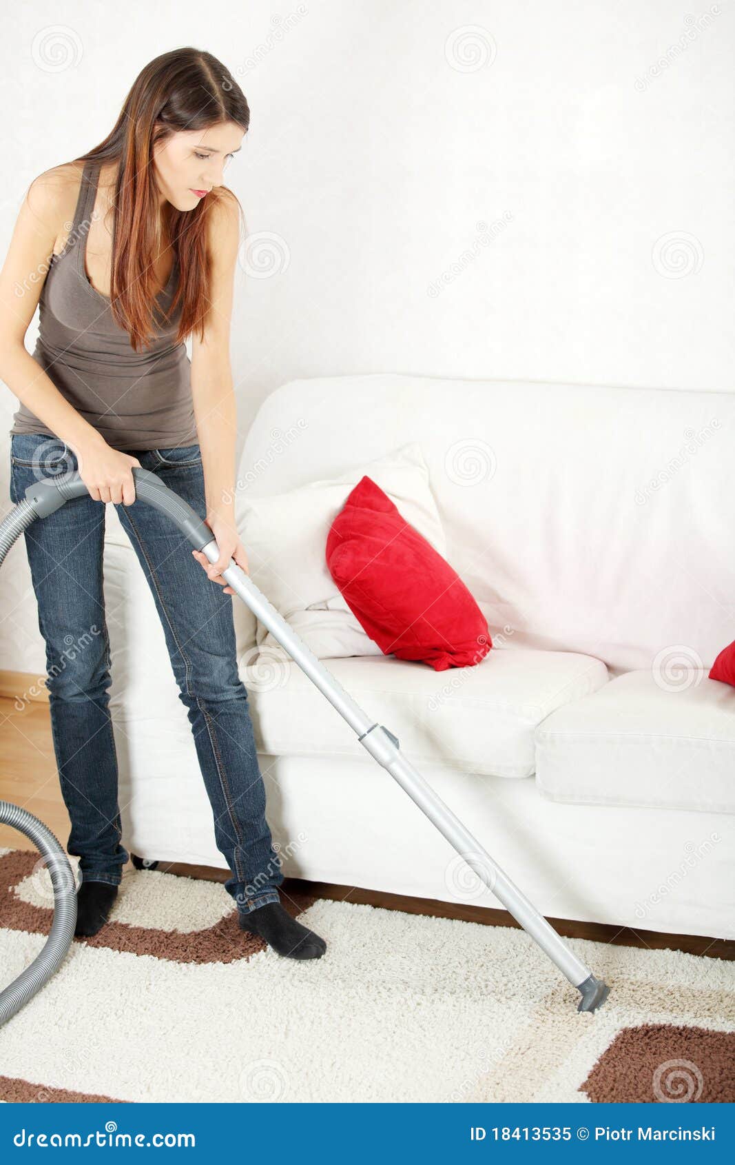 House work stock image. Image of floor, home, house, female - 18413535