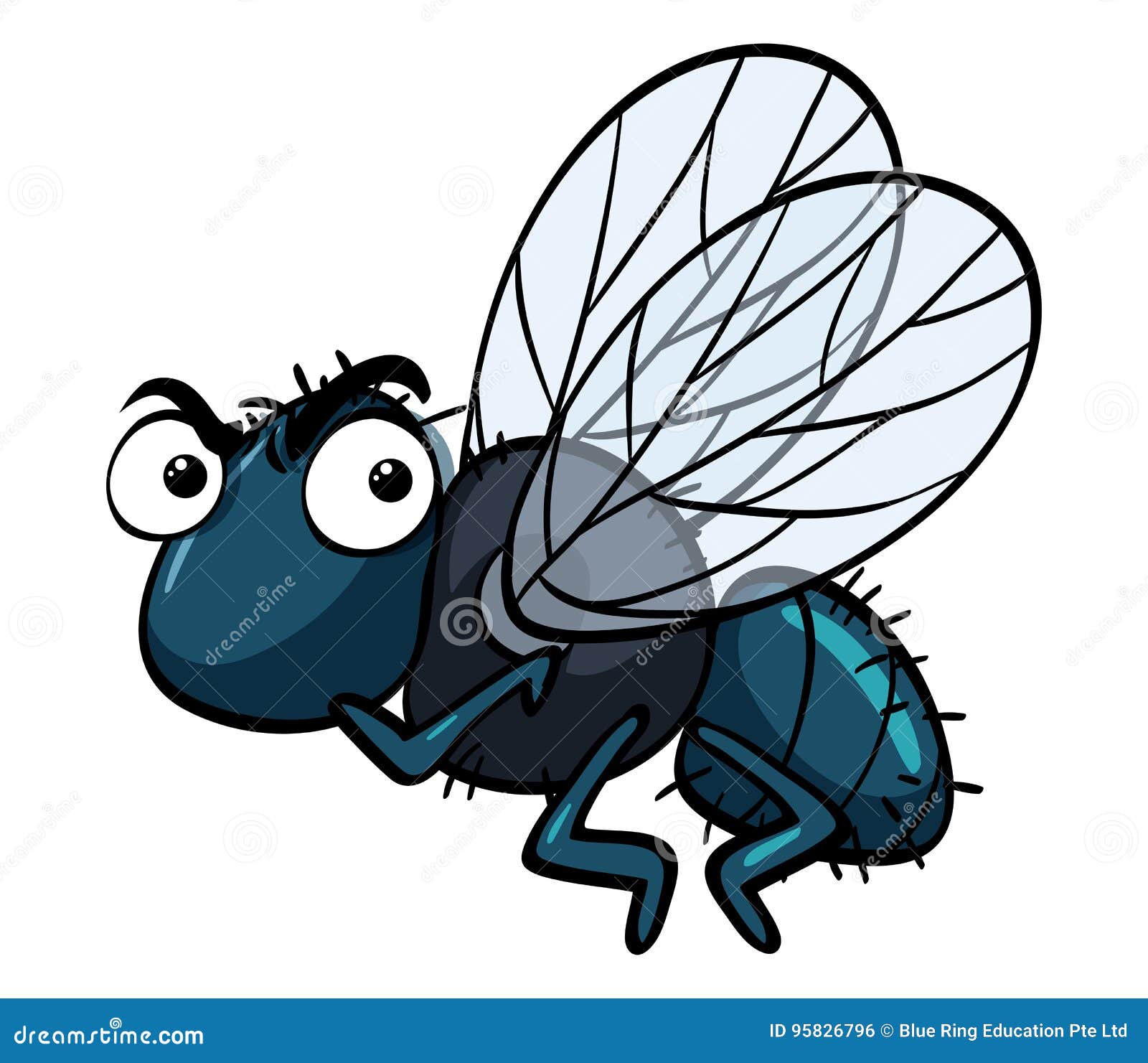 Housefly with angry face stock vector. Illustration of clip - 95826796