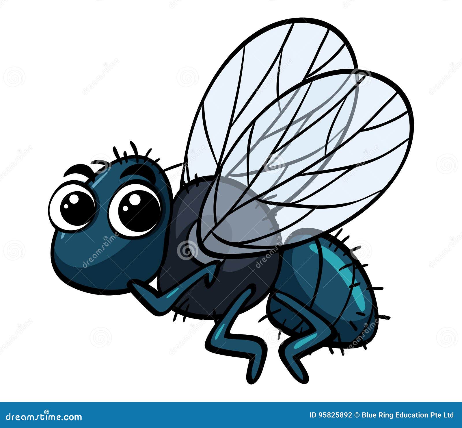 Housefly Flying on White Background Stock Vector - Illustration of ...