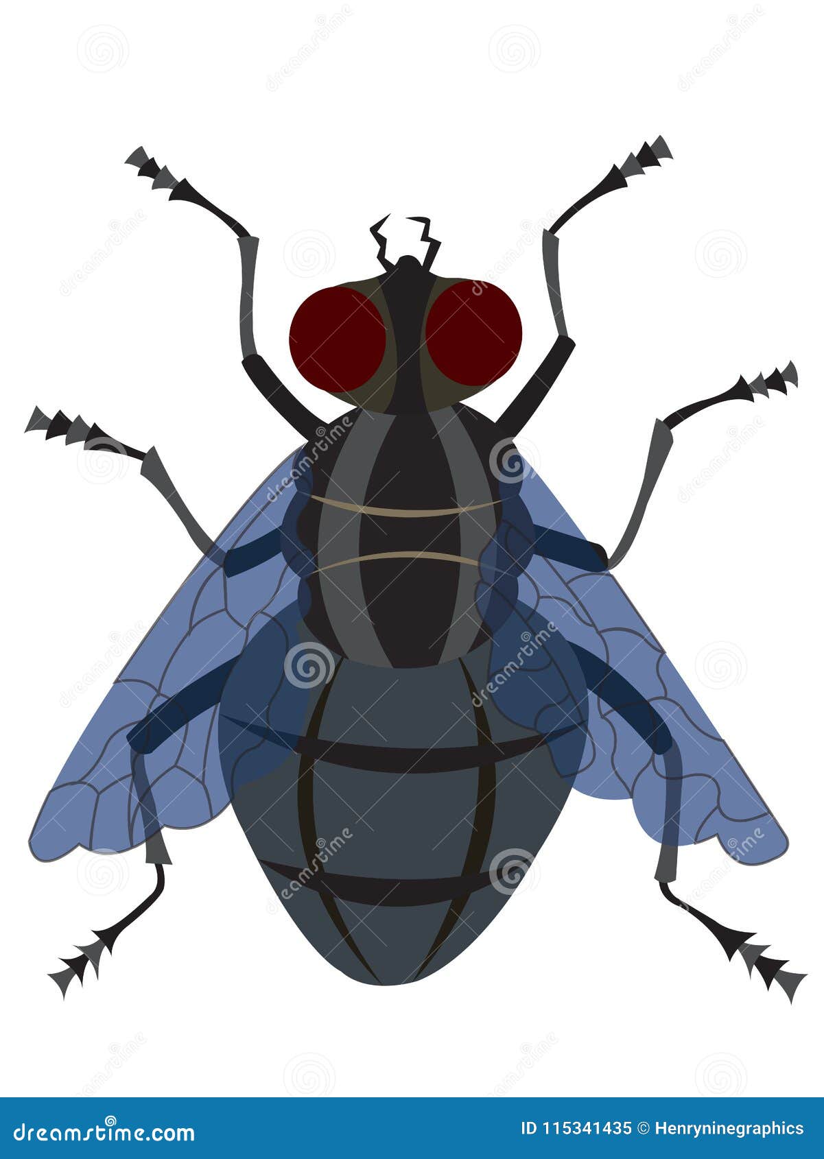 A Housefly image stock vector. Illustration of parasites - 115341435