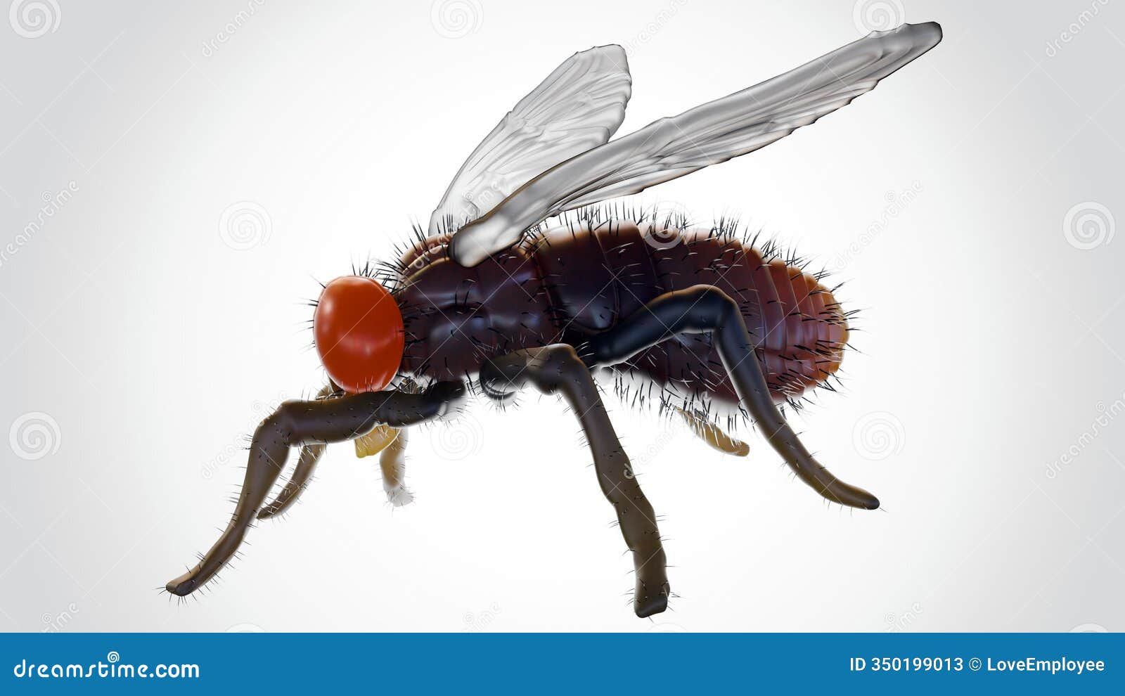 Housefly Spreading Germs Minimalist Insect Icon Design Vector ...