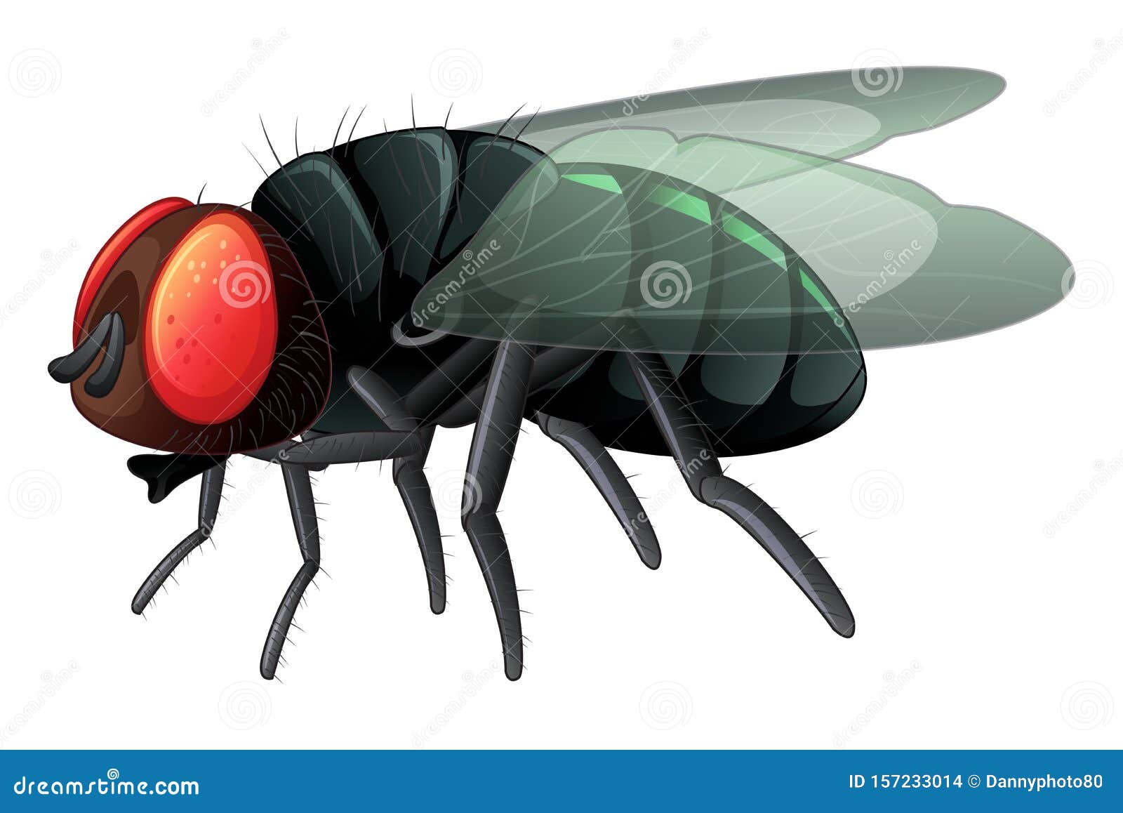 A Housefly Image Cartoon Vector | CartoonDealer.com #115341435