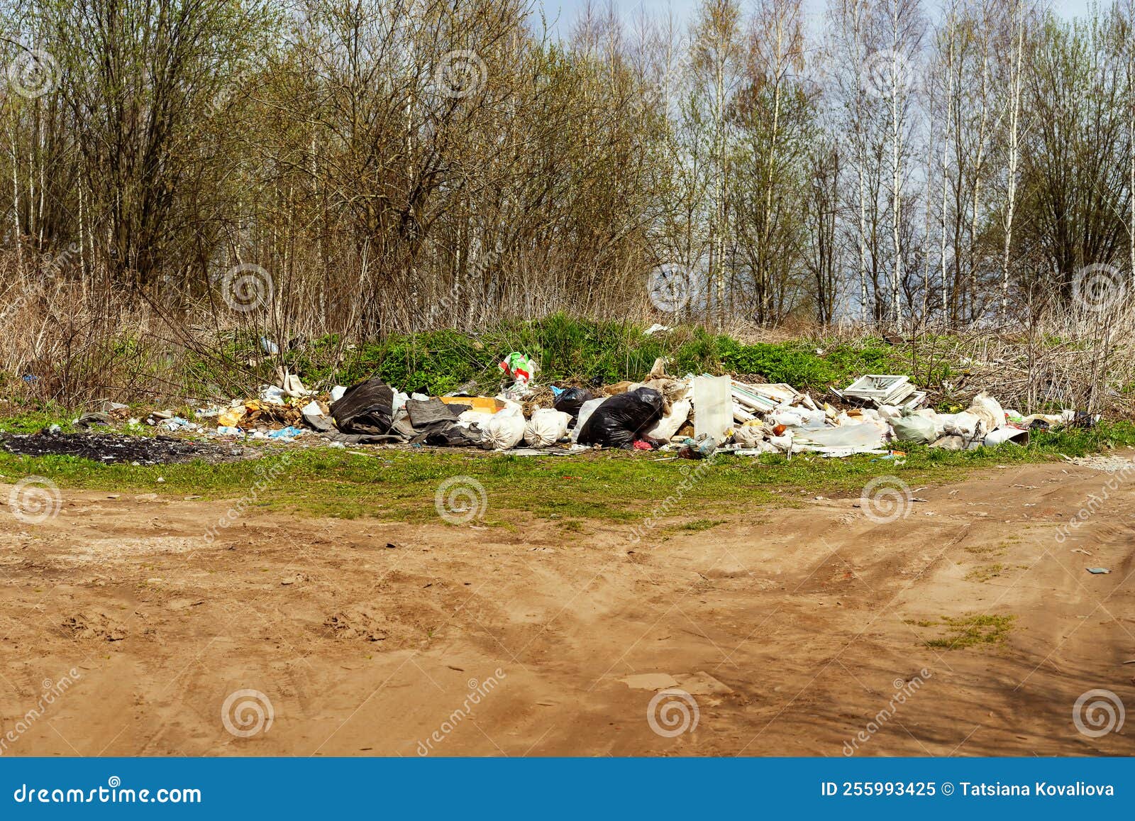 Household Garbage in Nature. Human Pollution of the Environment. People ...