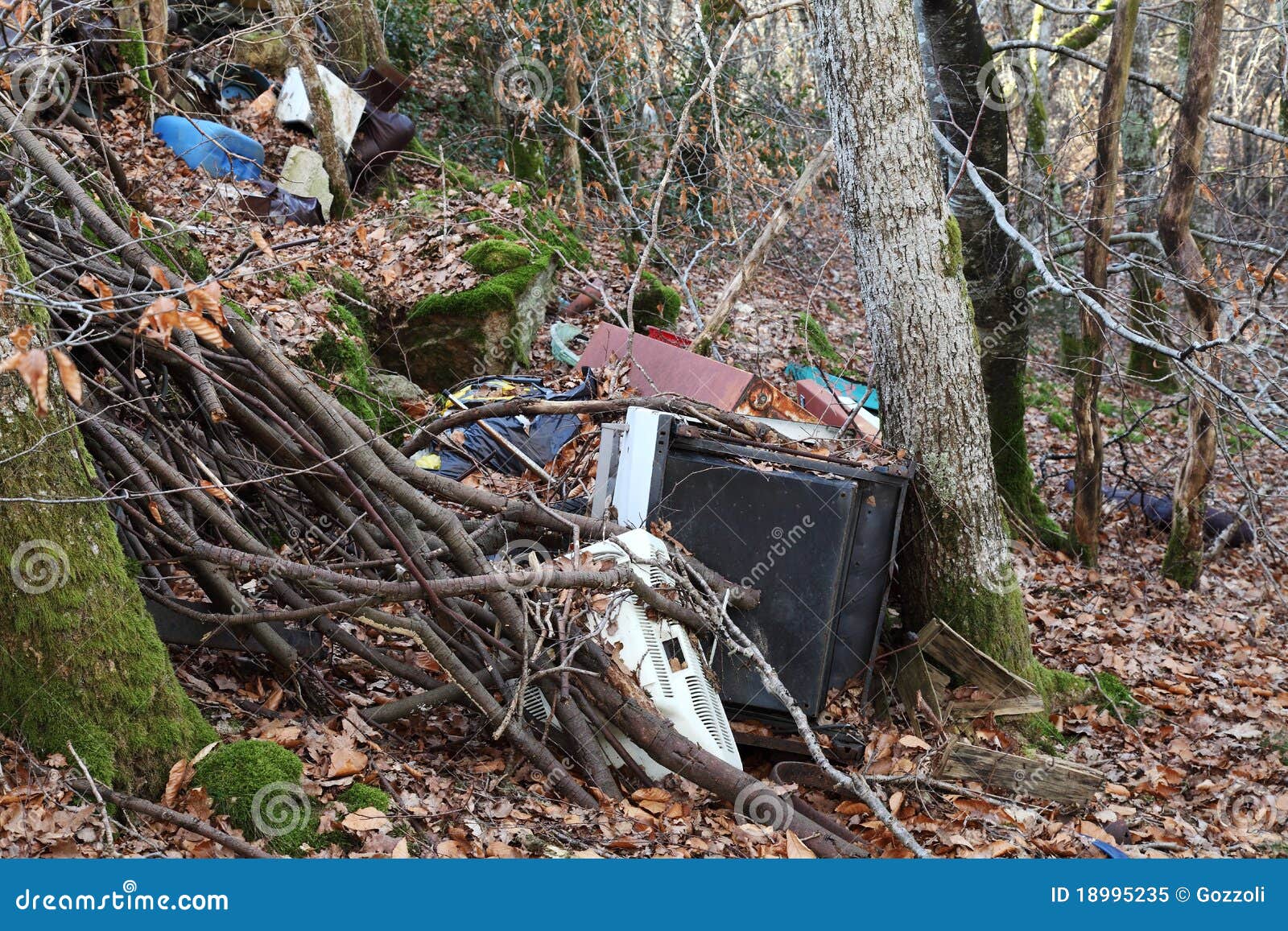 Household Pollution in Forest Stock Image - Image of flytipping, scrap ...