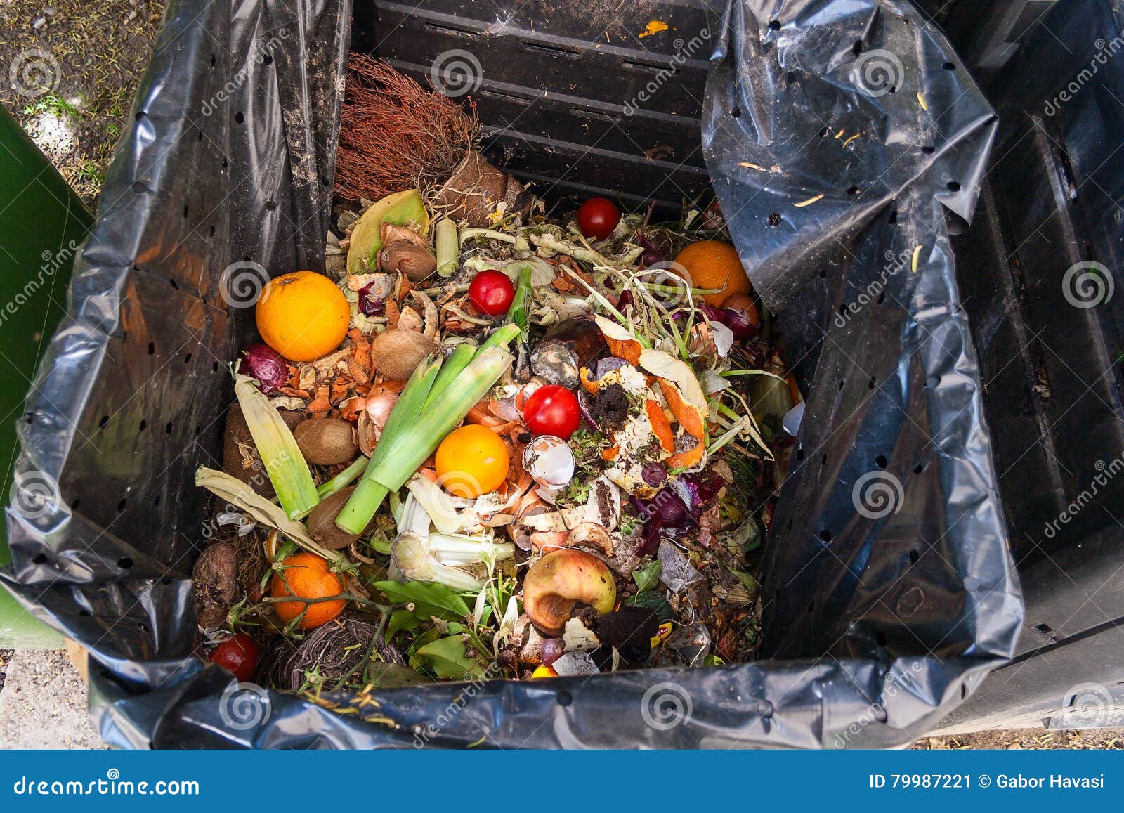 Household Scrap in the Compost Stock Image - Image of fruit, green ...