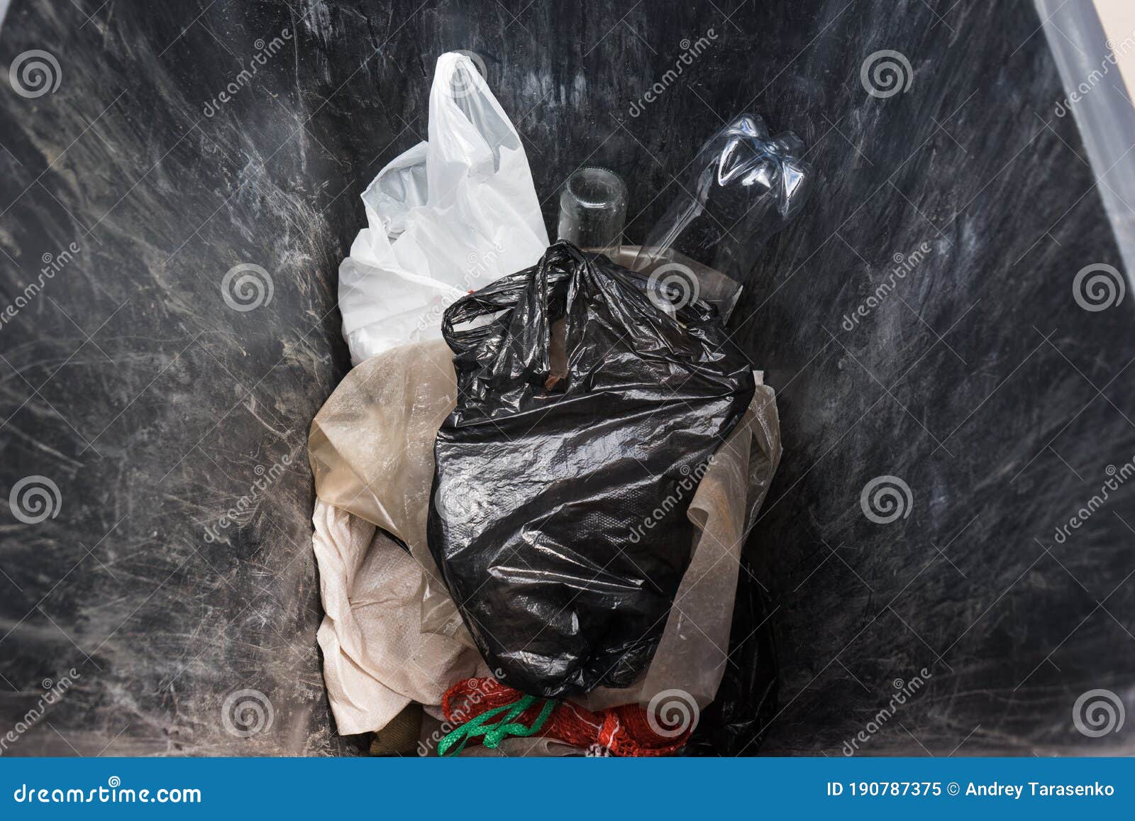 Trash Inside Huge Tree. Garbage Pile. Environmental Pollution Concept ...